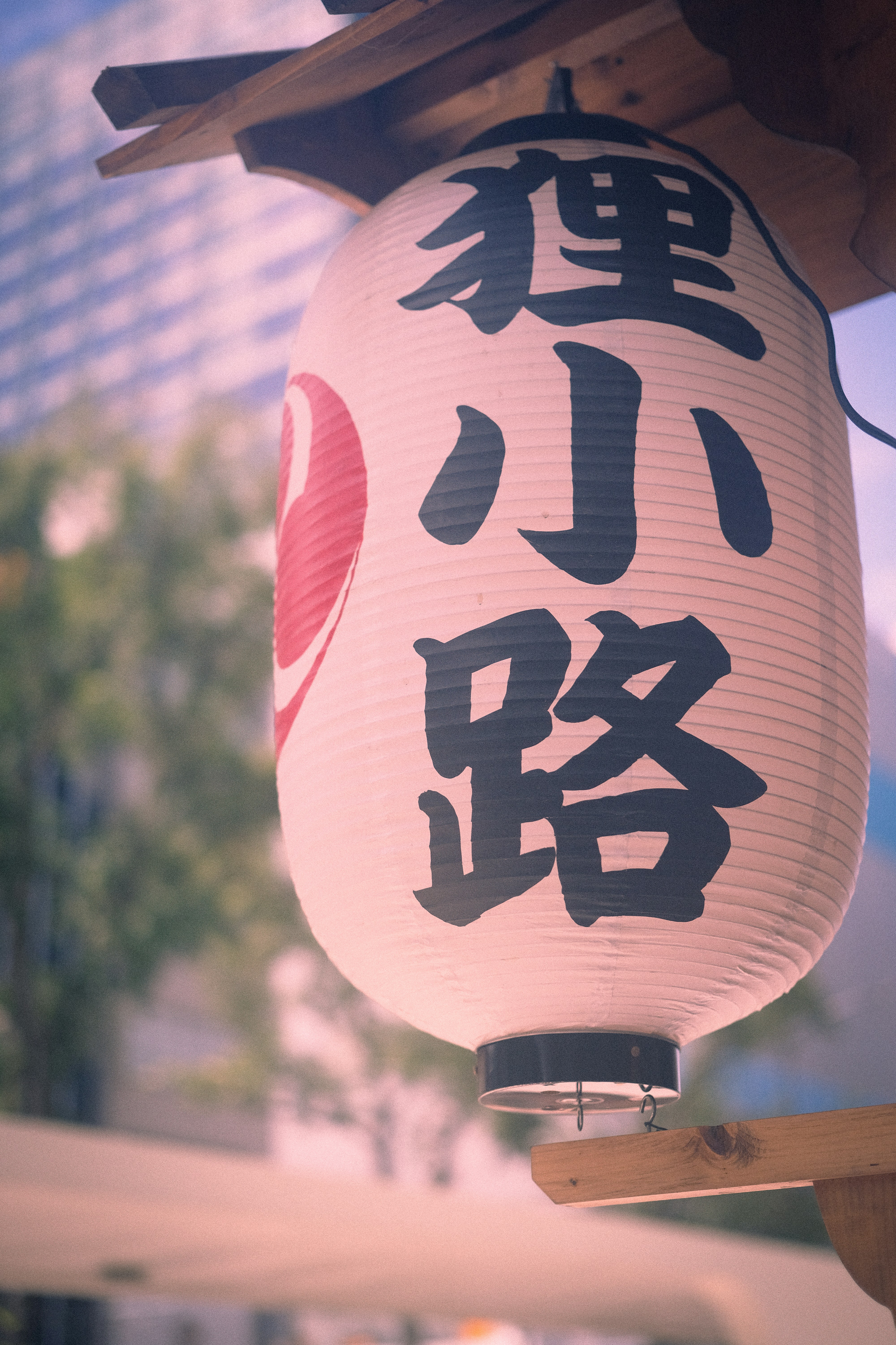 Lantern in Focus: A Soft Burnished Glow of Japanese Script