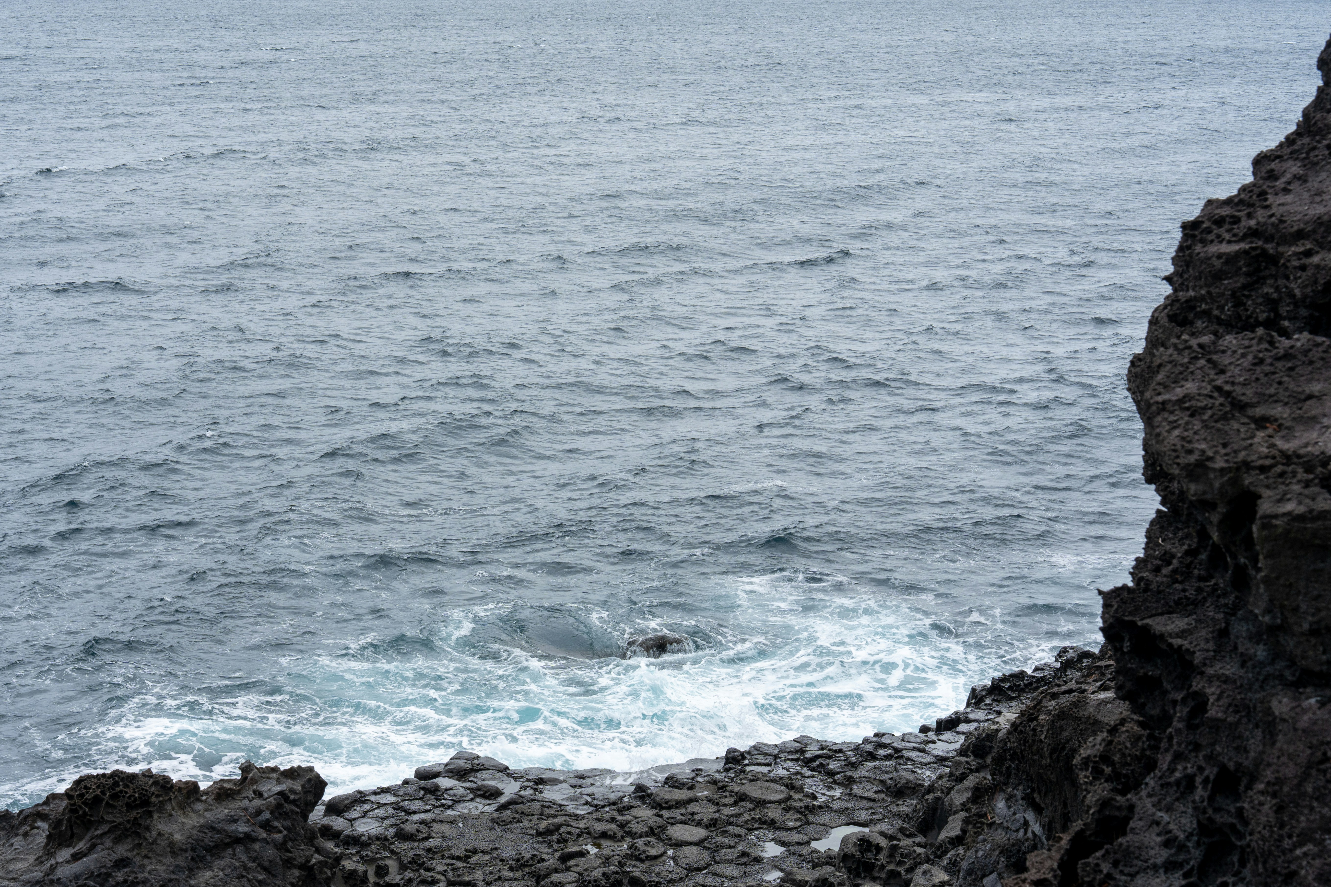 Foam on basalt: a rugged sea cliff under quiet overcast