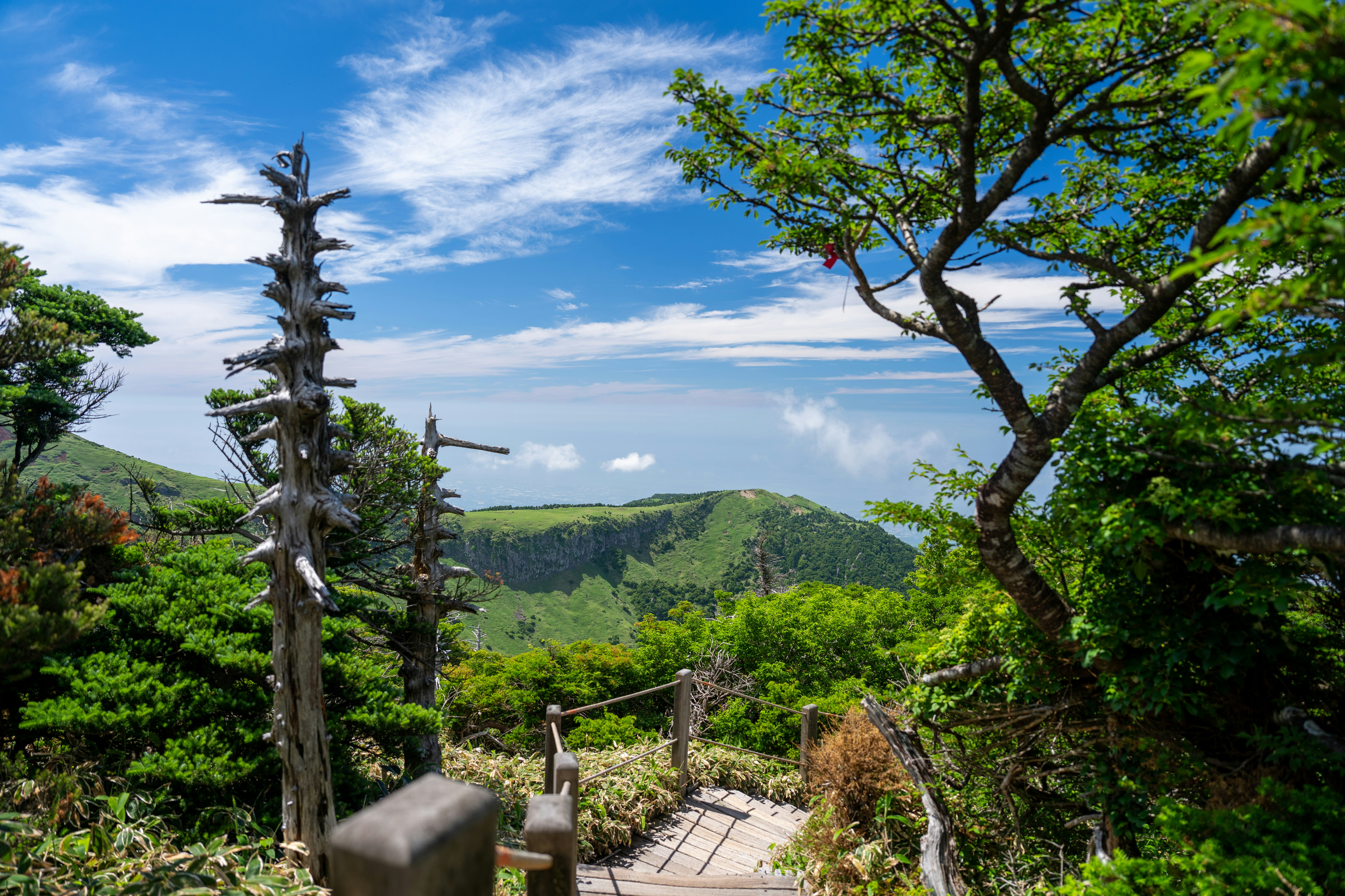 A sunlit mountain overlook with a wooden railing leading toward distant green ridges and a clear blue sky.