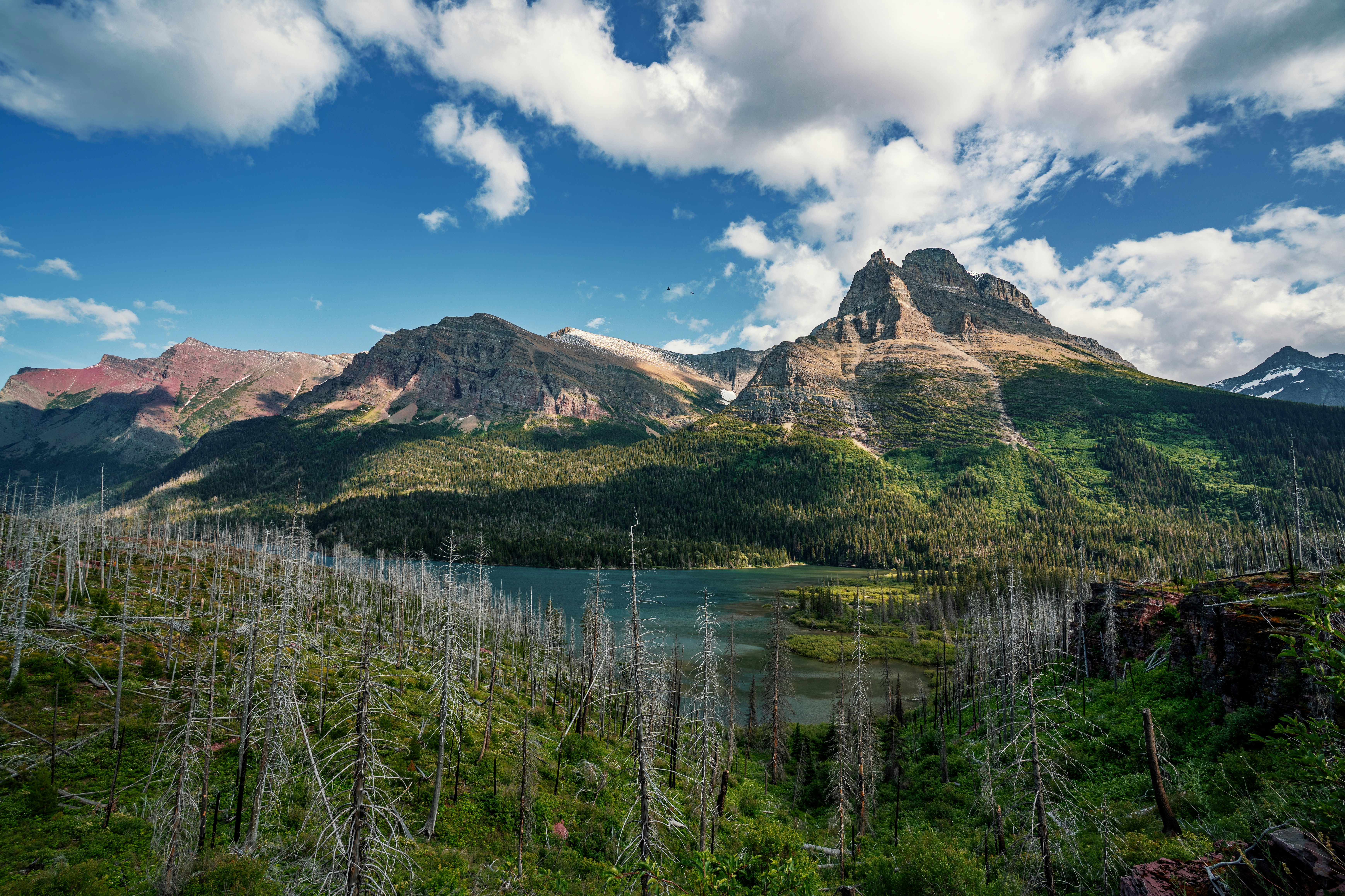 Echoes of the Peak: A Mountain Lake Vista