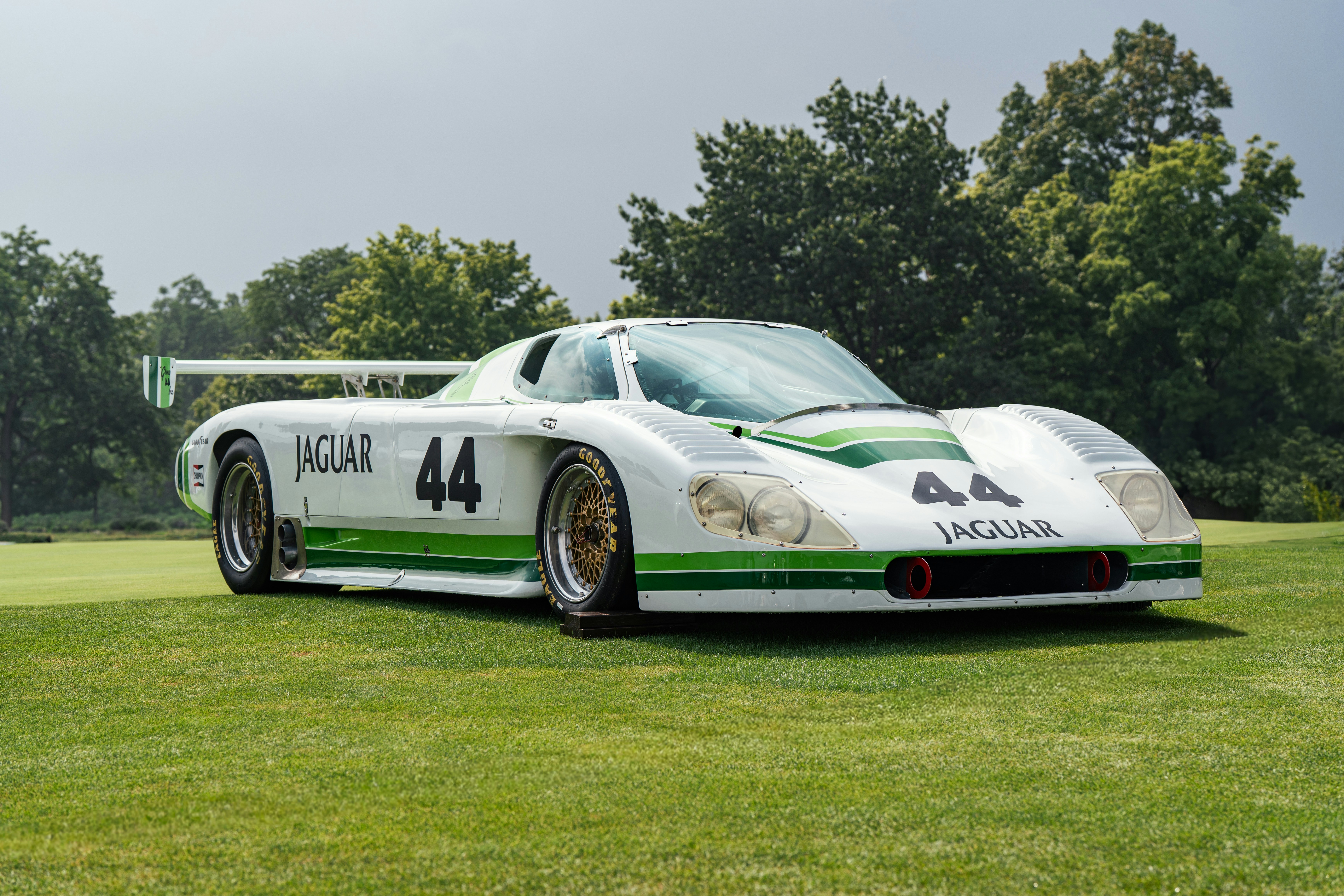 JG4 Jaguar: Green‑trimmed Le Mans hero in a sunlit meadow