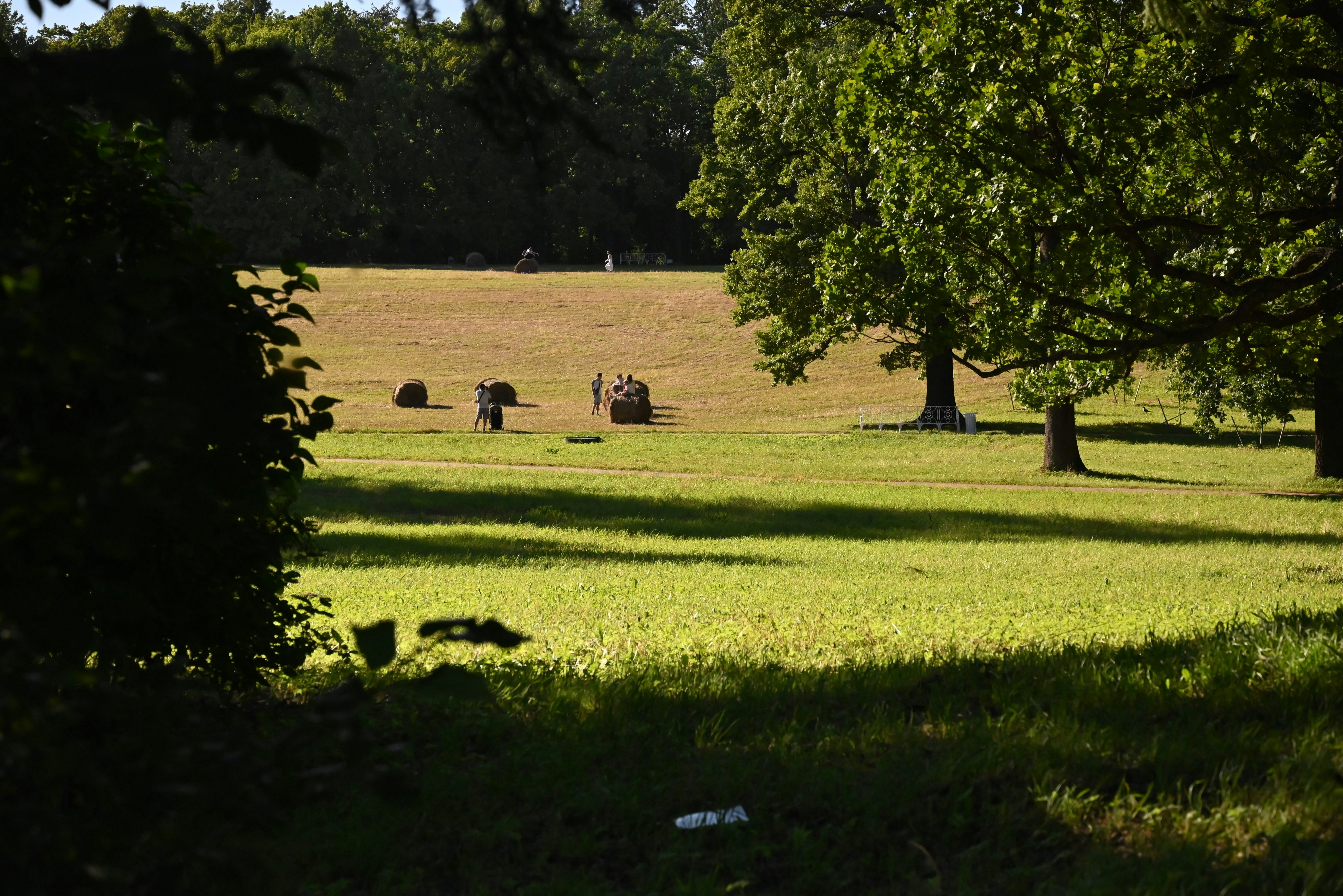 Sunlit Pasture With Grazing Figures Stretched Across a Quiet Park