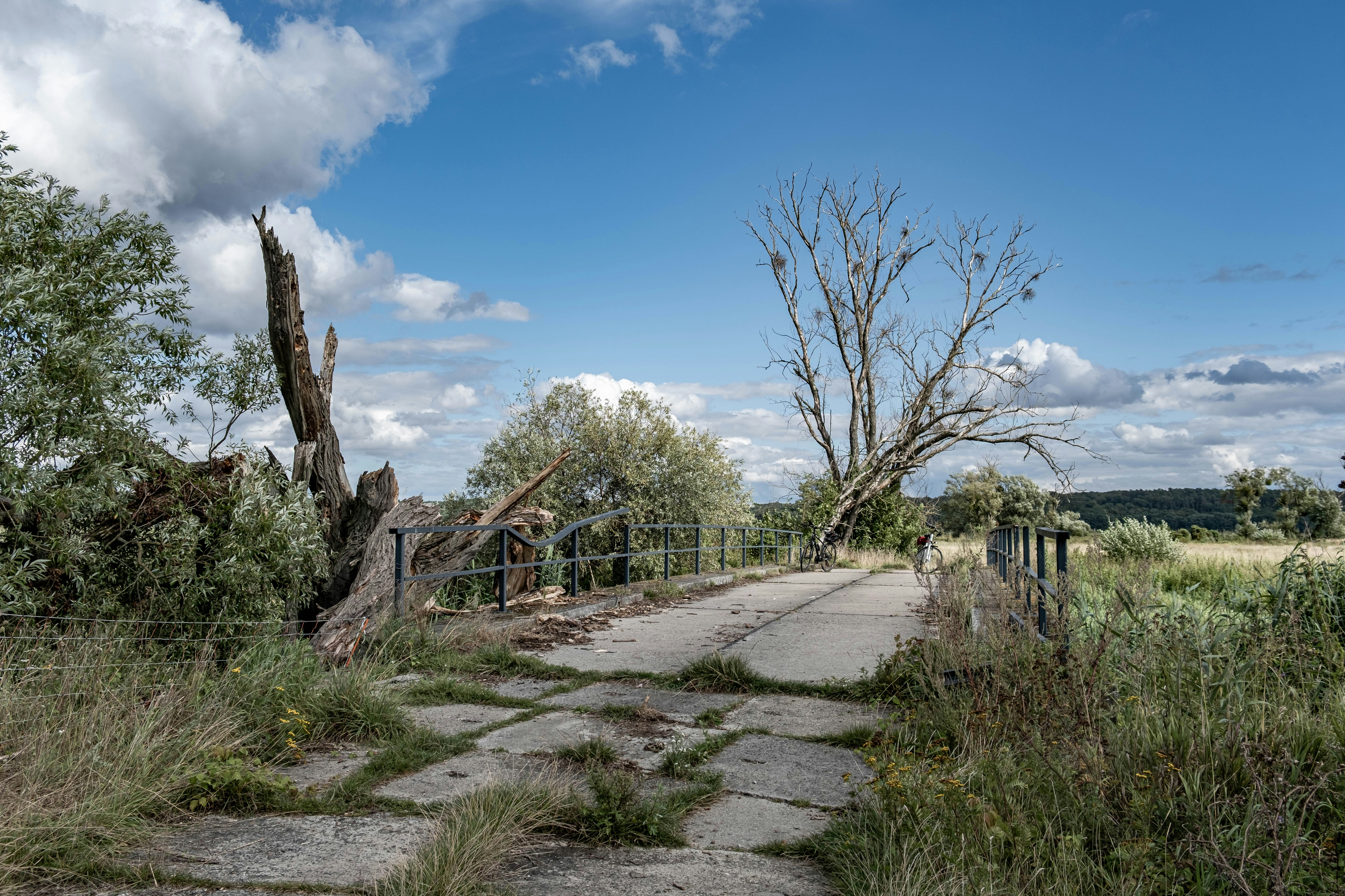 Rusted Bridge to Nowhere: A Quiet Field of Decay