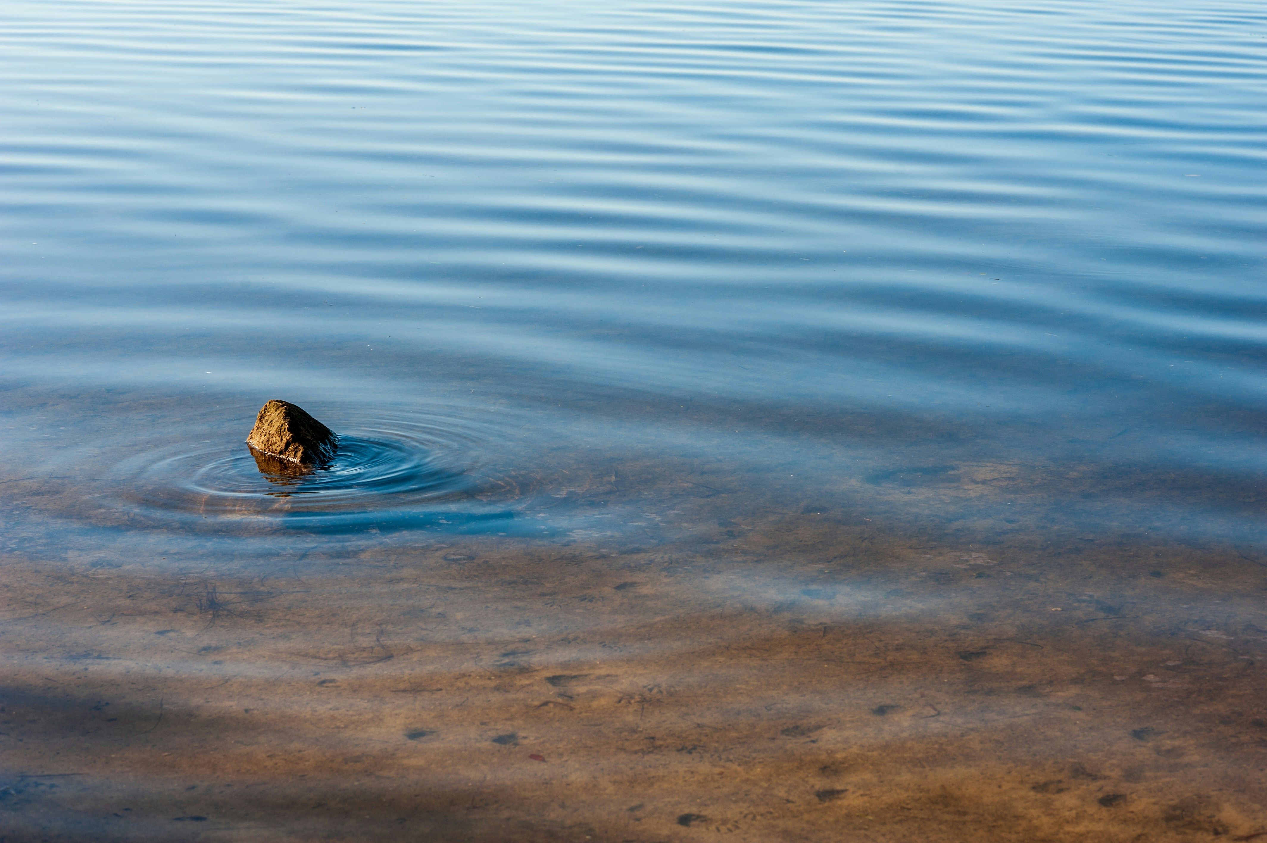 Pebble in Quiet Blue: A Rippled Shore of Dawn