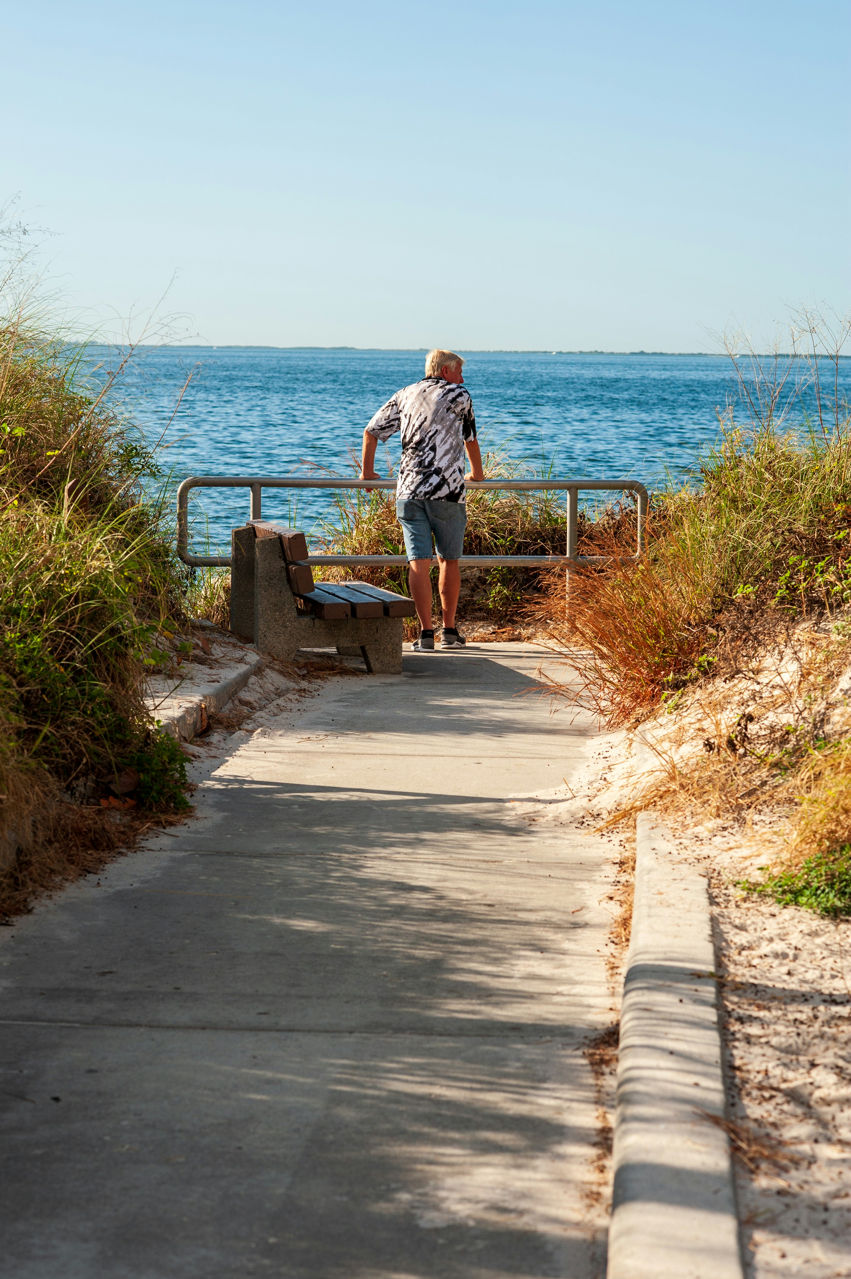 Seaside Path: A Solitary Figure Pauses at the Gate to the Ocean