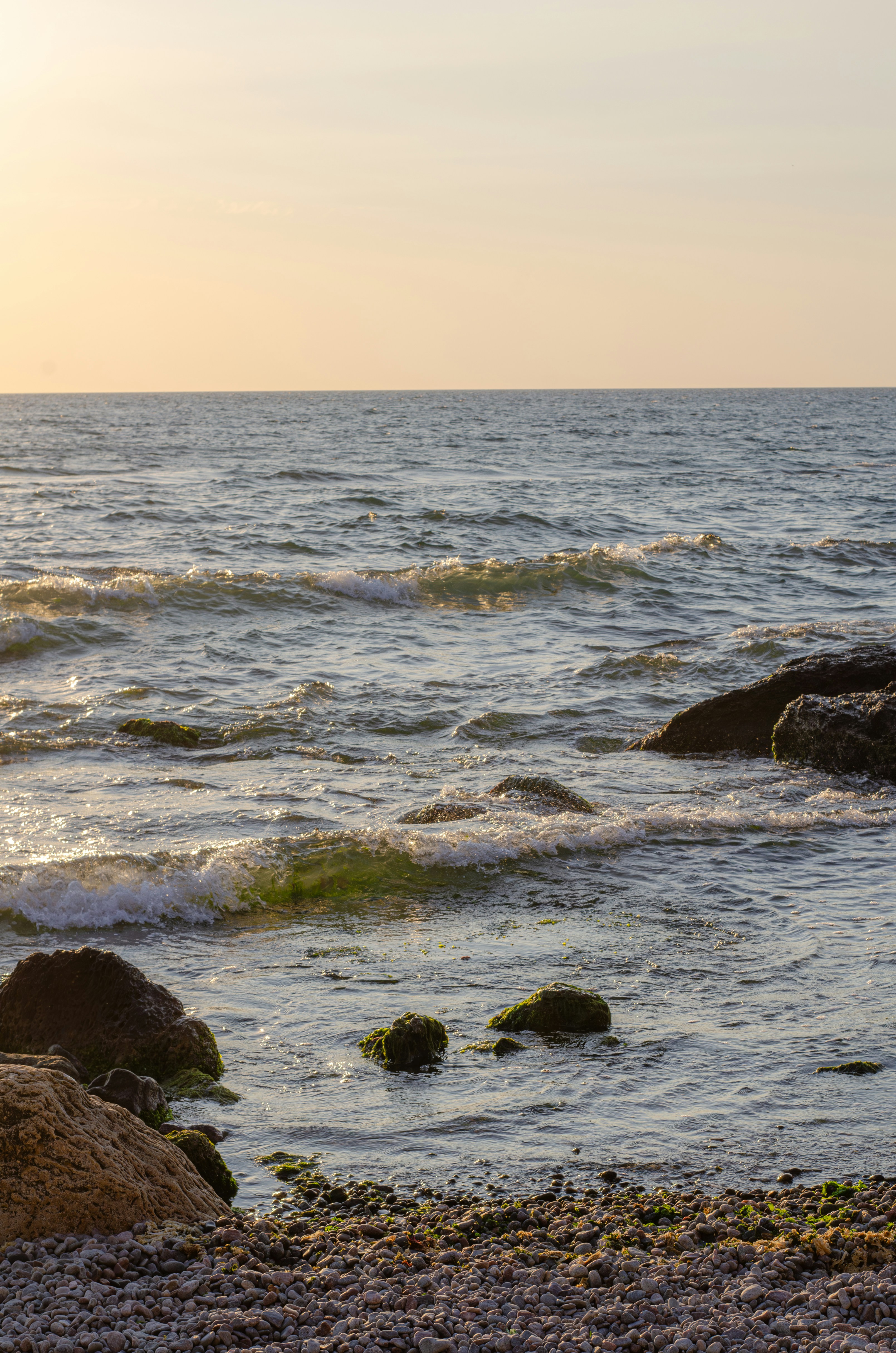 Sun-Kissed Shoreline: Pebble Beach Meeting the Quiet Sea