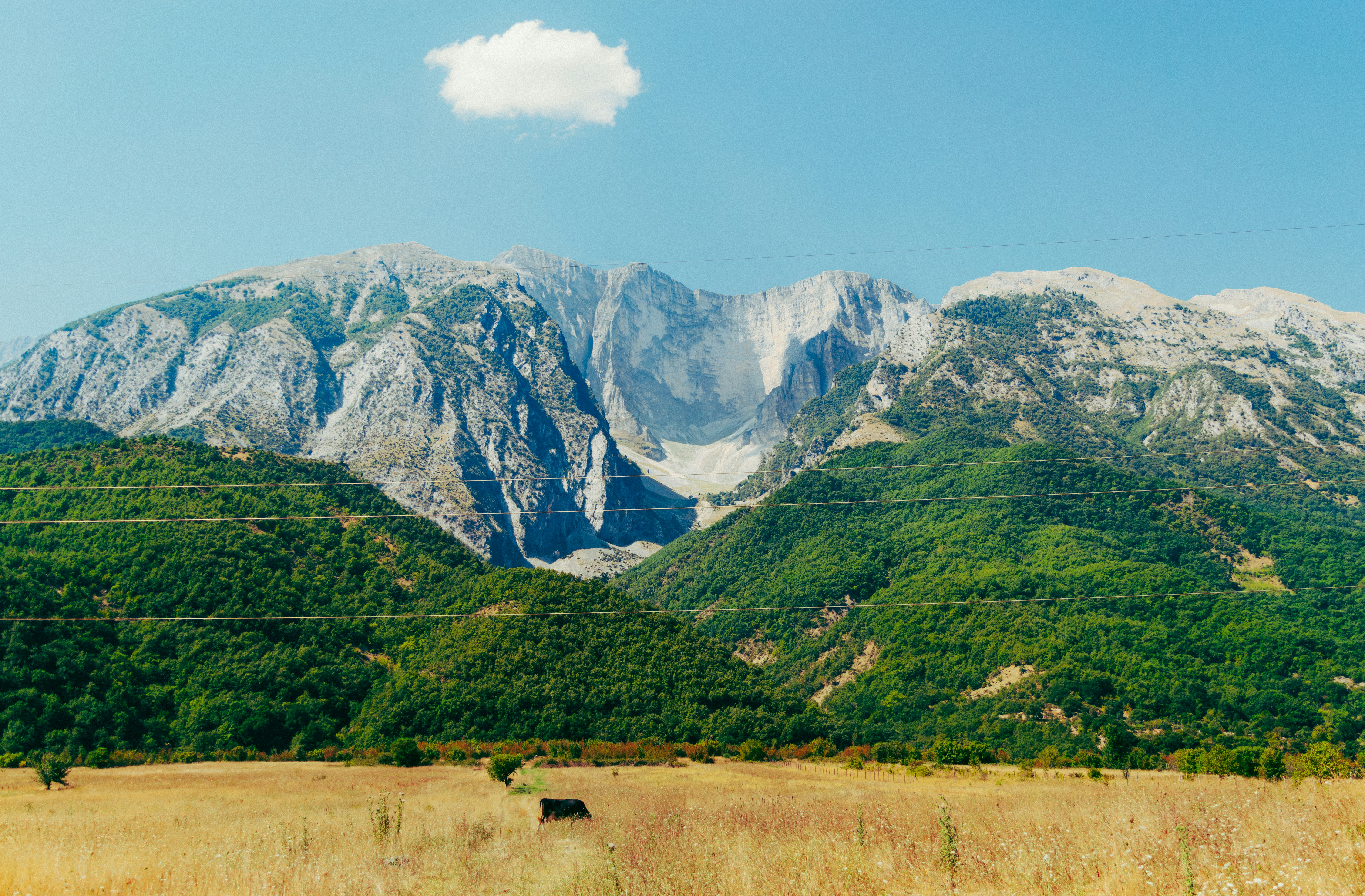 Snow-capped Ridge Emerging from Green Valleys under a Clear Sky