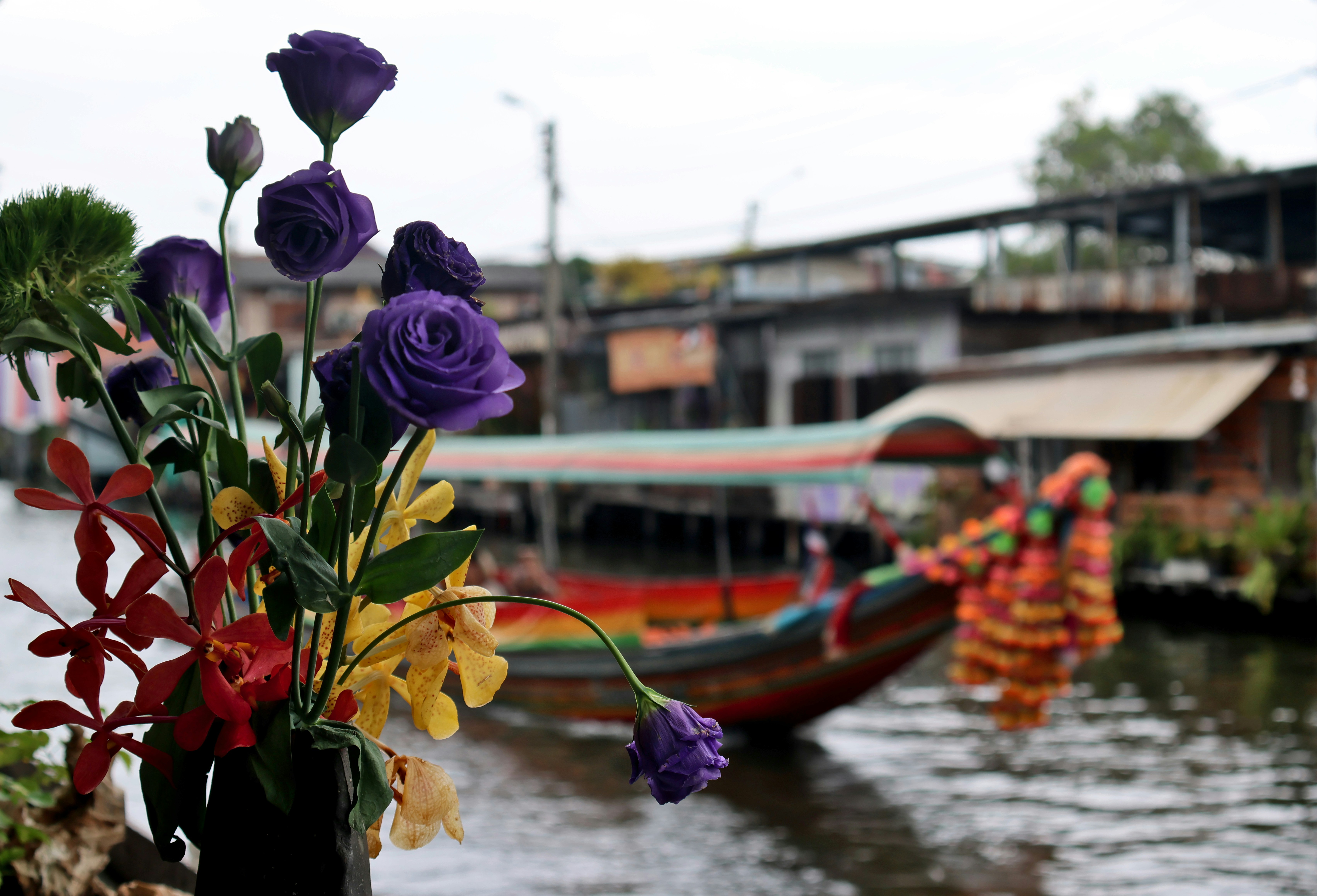 Vibrant bouquet by the canal: blossoms with a bustling riverside backdrop