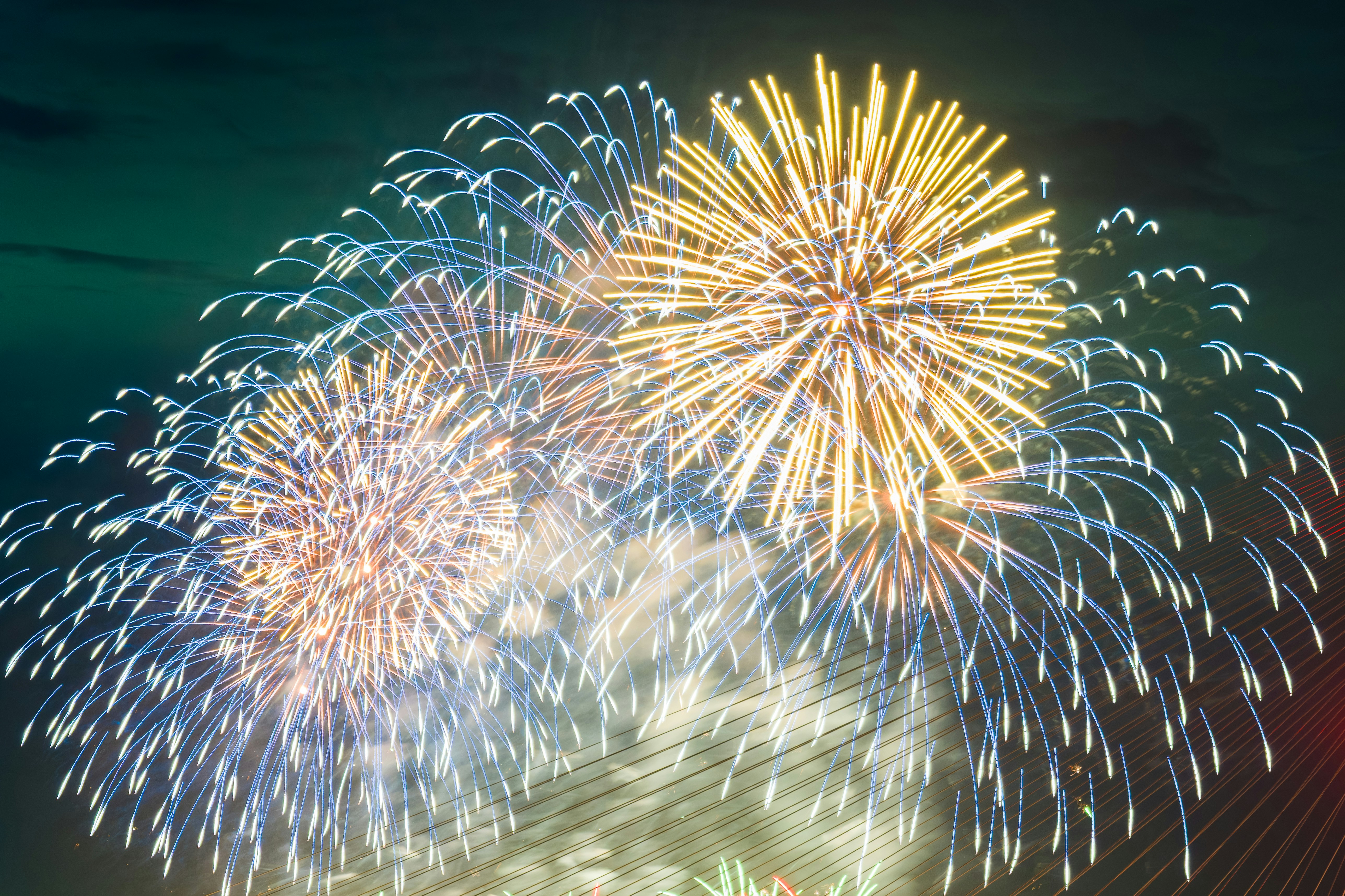 Midair Burst: Fireworks Over a Quiet Night