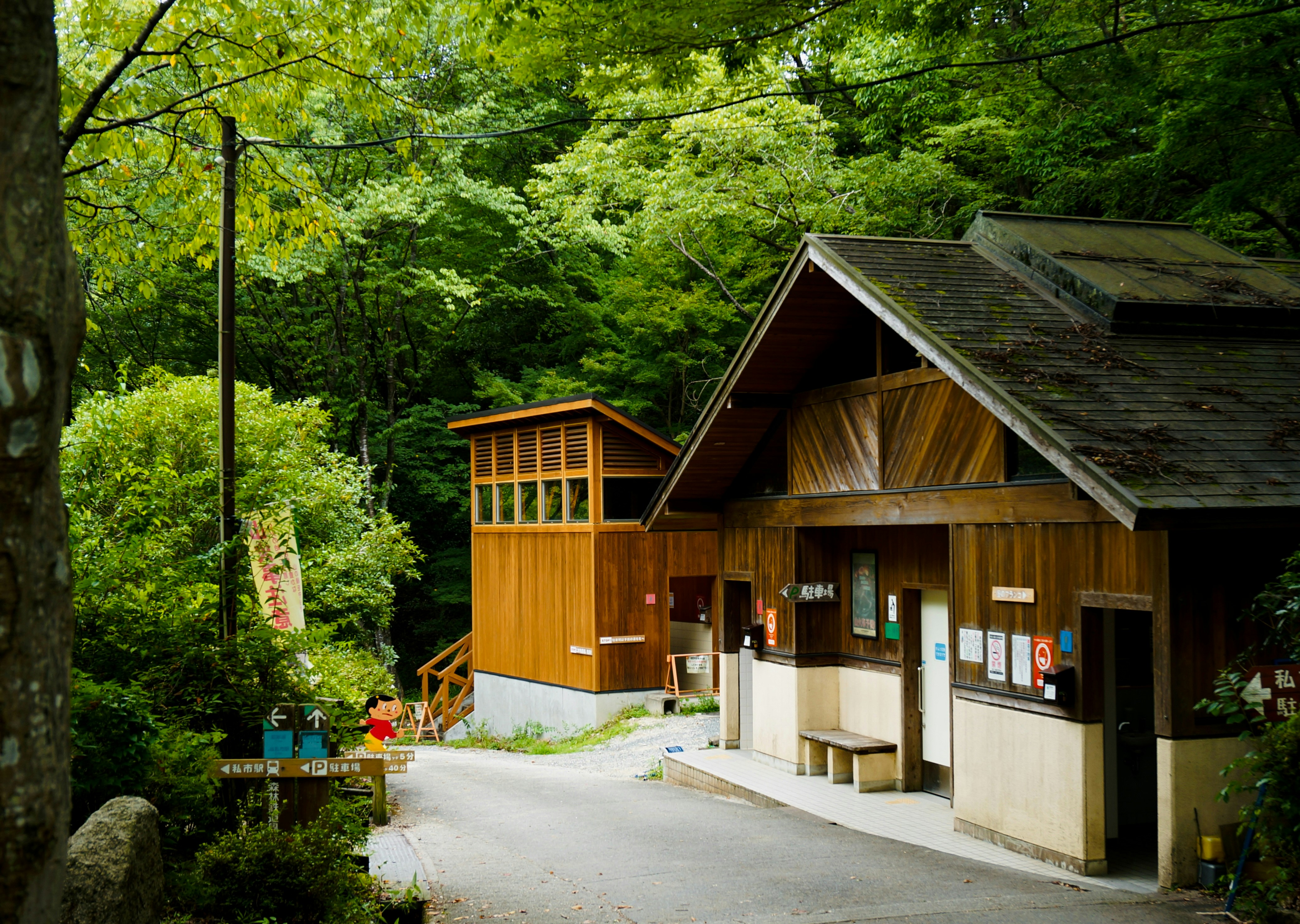 Wooden Visitor Lodge Nestled Among Green Canopy