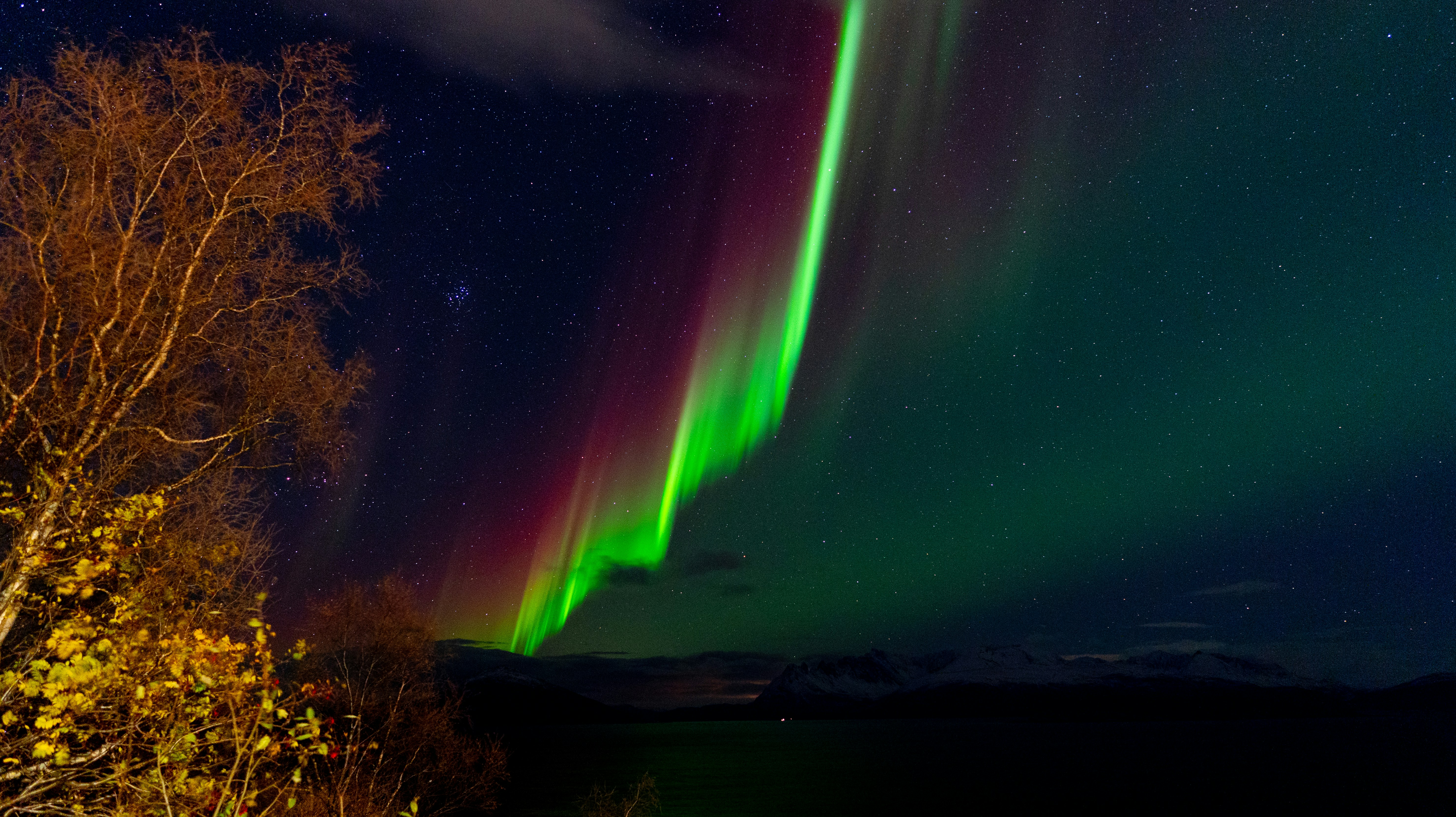 Aurora Borealis, Northern Lights, Norway, aurora, Arctic night, green lights, night sky, Arctic landscape, Norway photography, aurora photography, winter, nature, landscape photography, Scandinavia, Northern Europe, stars, astronomy, celestial phenomenon, travel photography, Norwegian nature