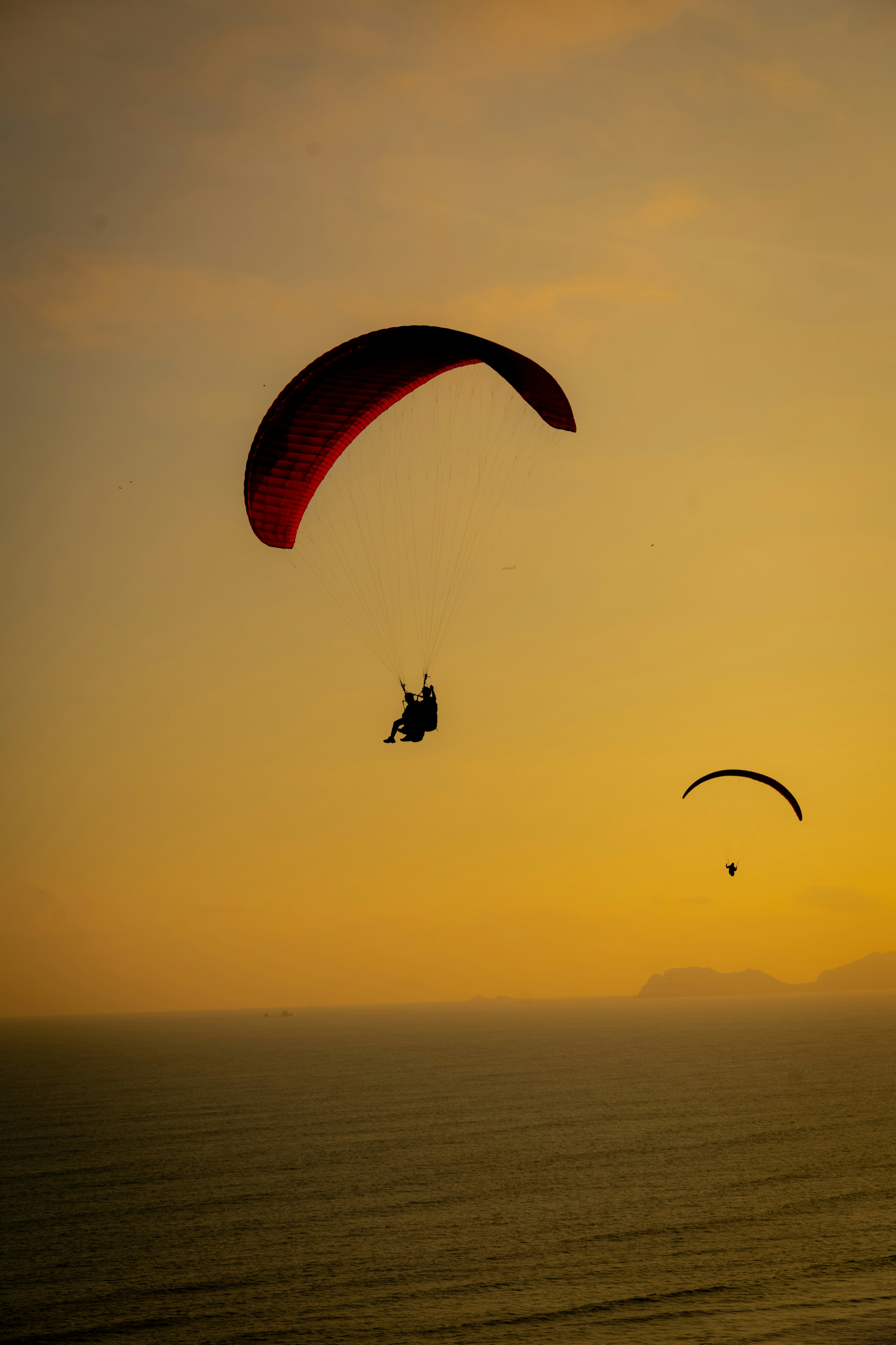 Rising Silhouettes: Paragliders Crown a Golden Horizon