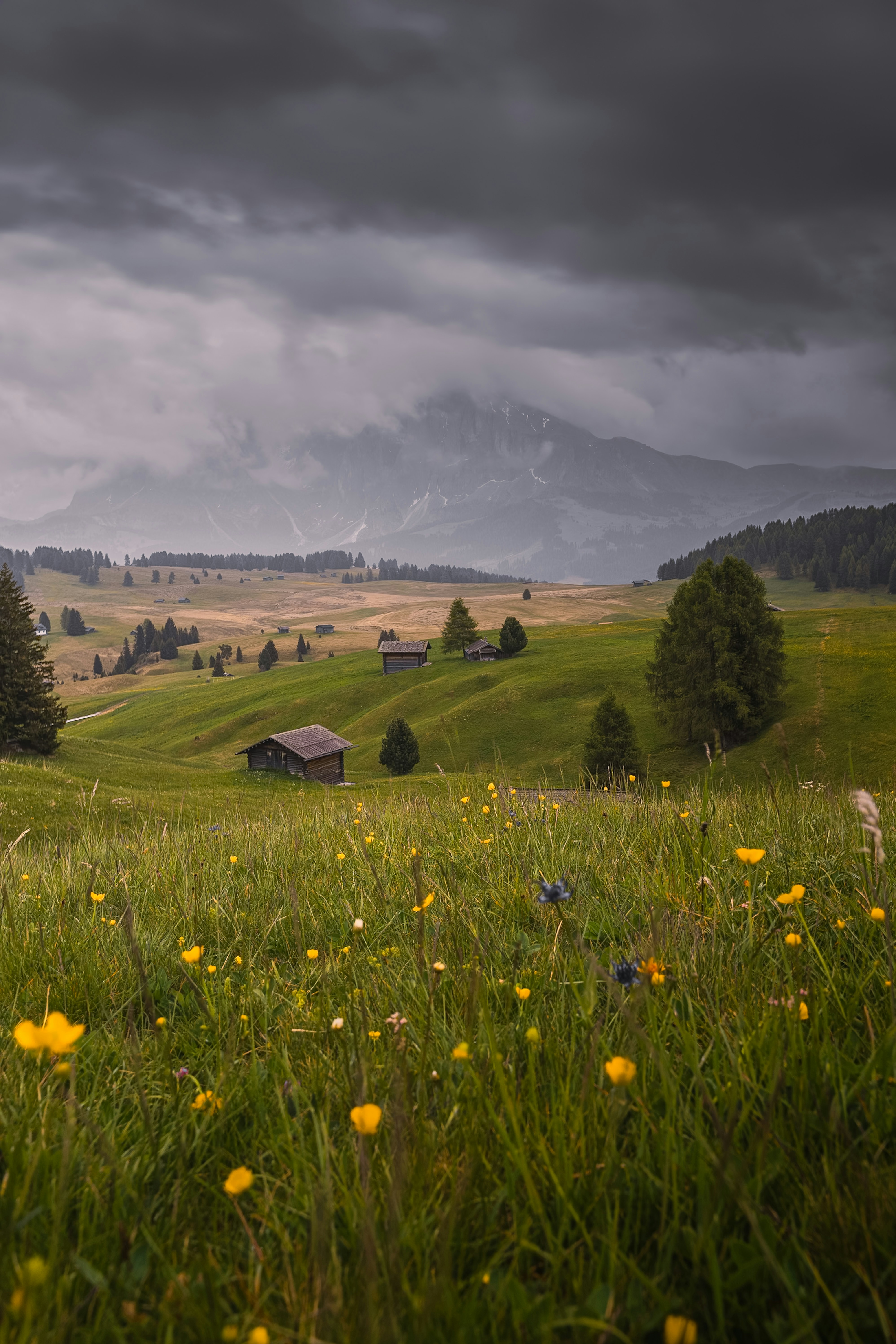 Pastoral Ridge beneath Storm-Weight Clouds