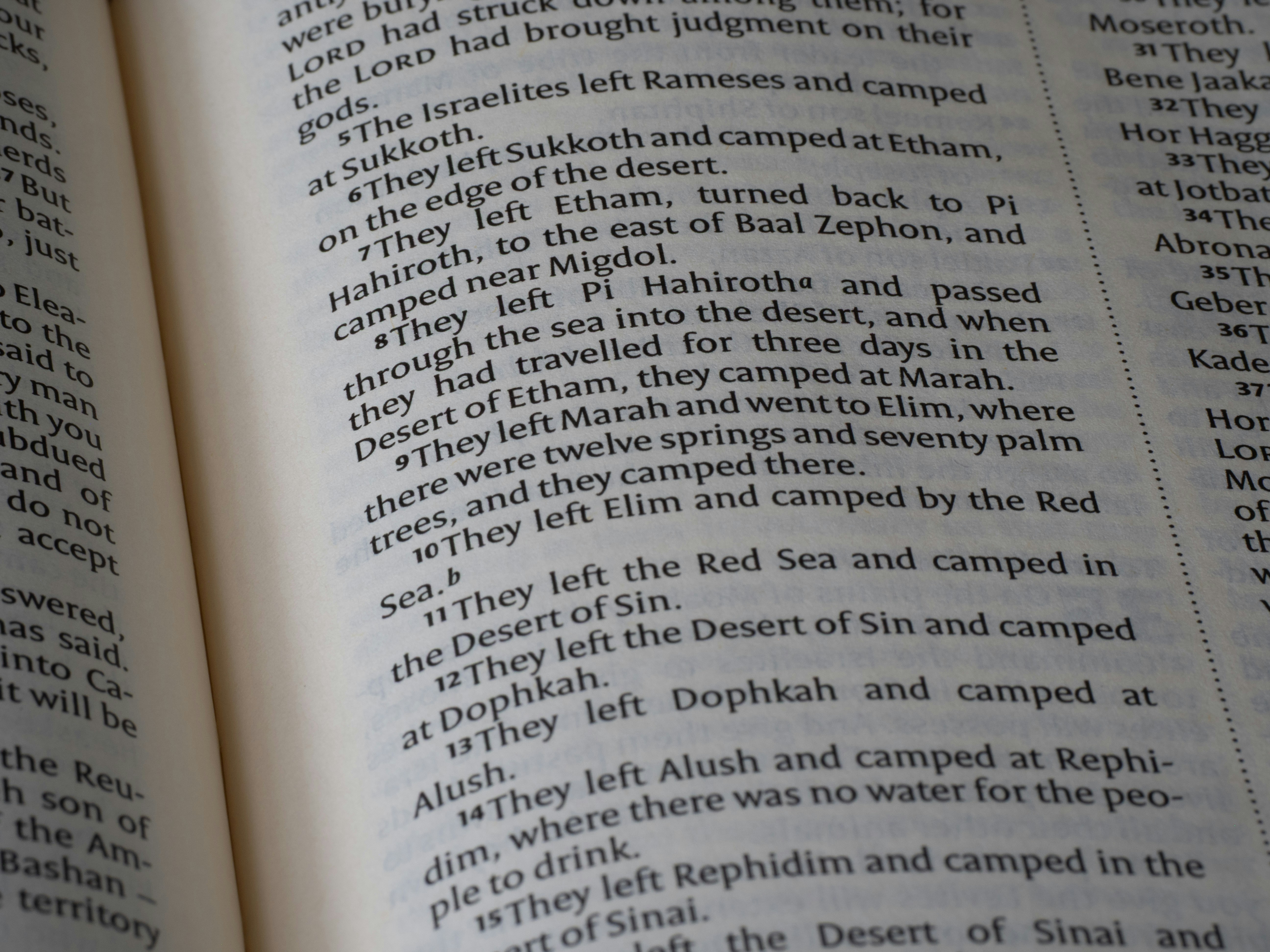 Close-up of a printed page with legible text and a soft, natural fold, highlighting the tactile texture of paper. This is a photograph of a printed document, not a drawing or painting.