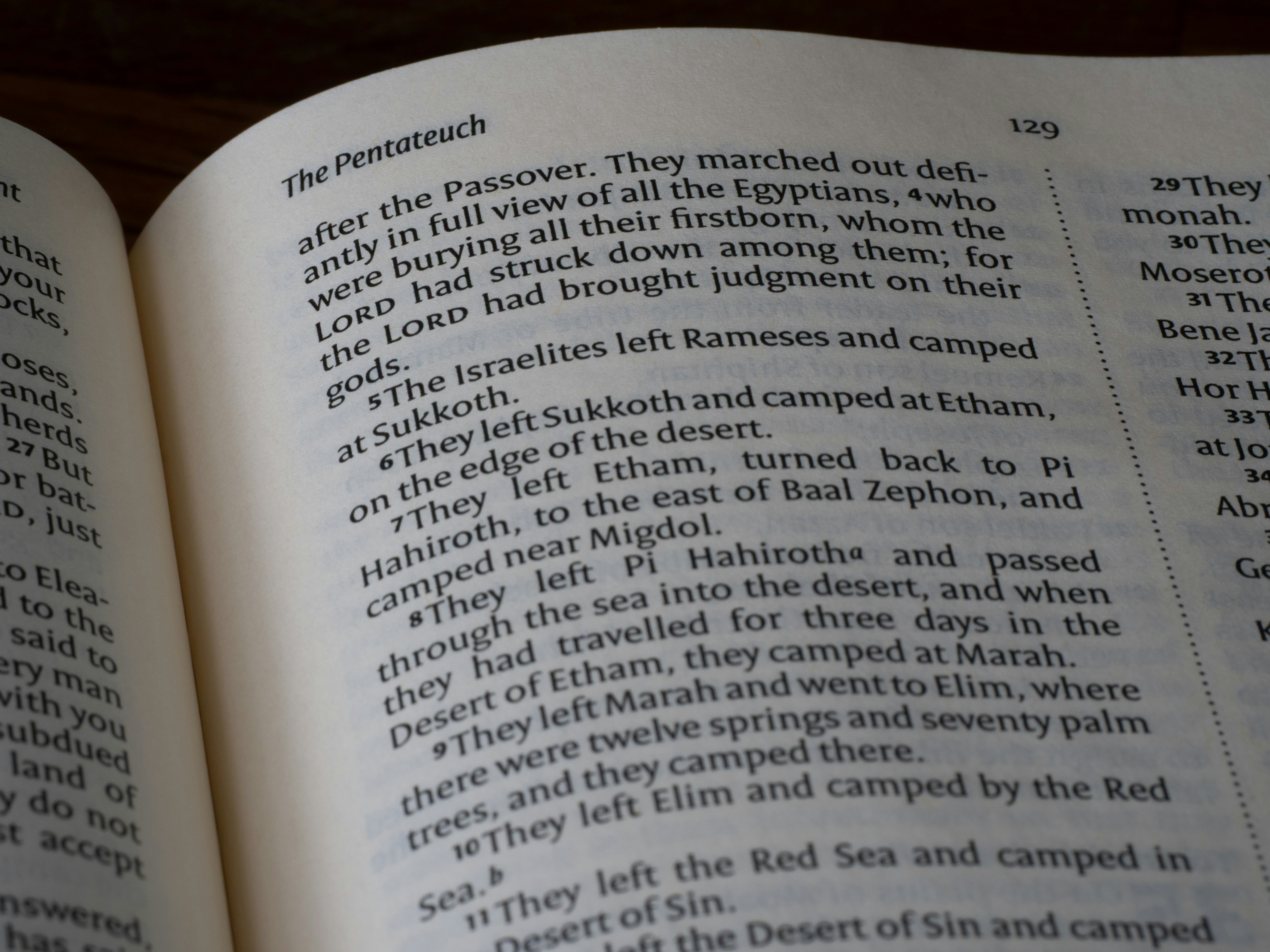 Lifted Verse: A Close Read Through The Pentateuch