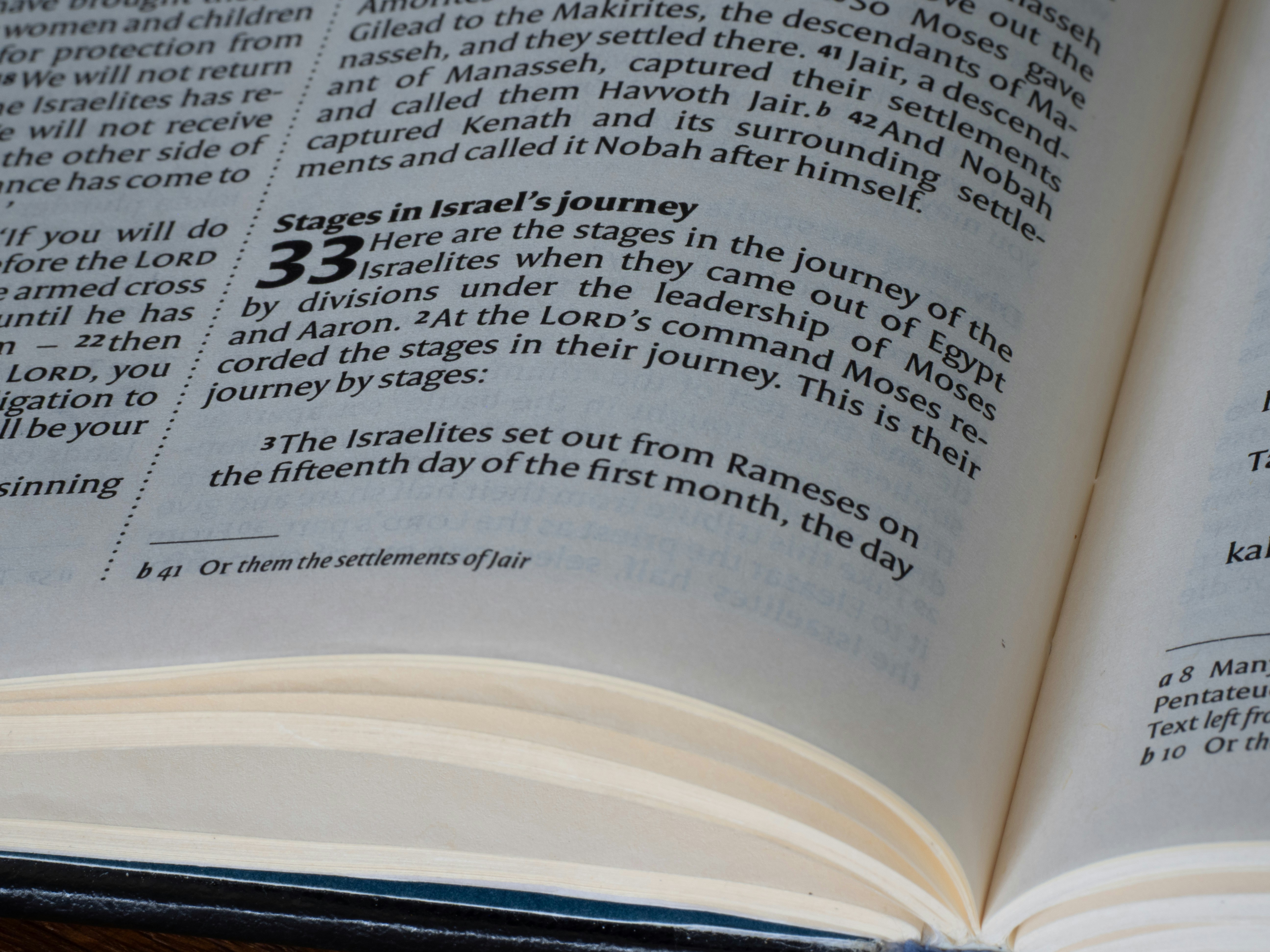 Margins in Focus: A Close-Up of Printed Text and Curved Page Edges
