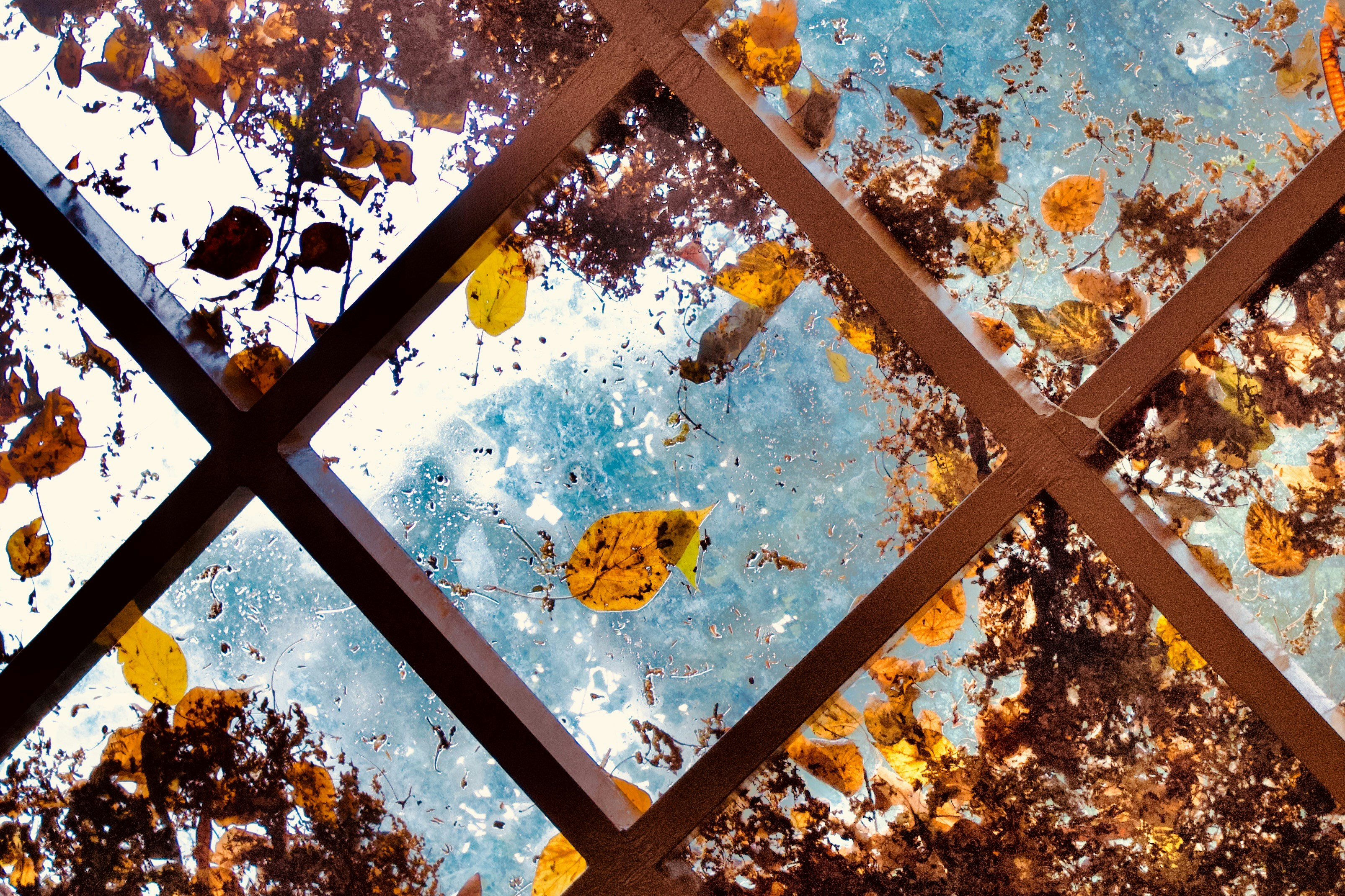 Autumn leaves drift across a geometric lattice, with a blue sky visible through diagonal bars. The scene emphasizes color contrast and pattern against nature.