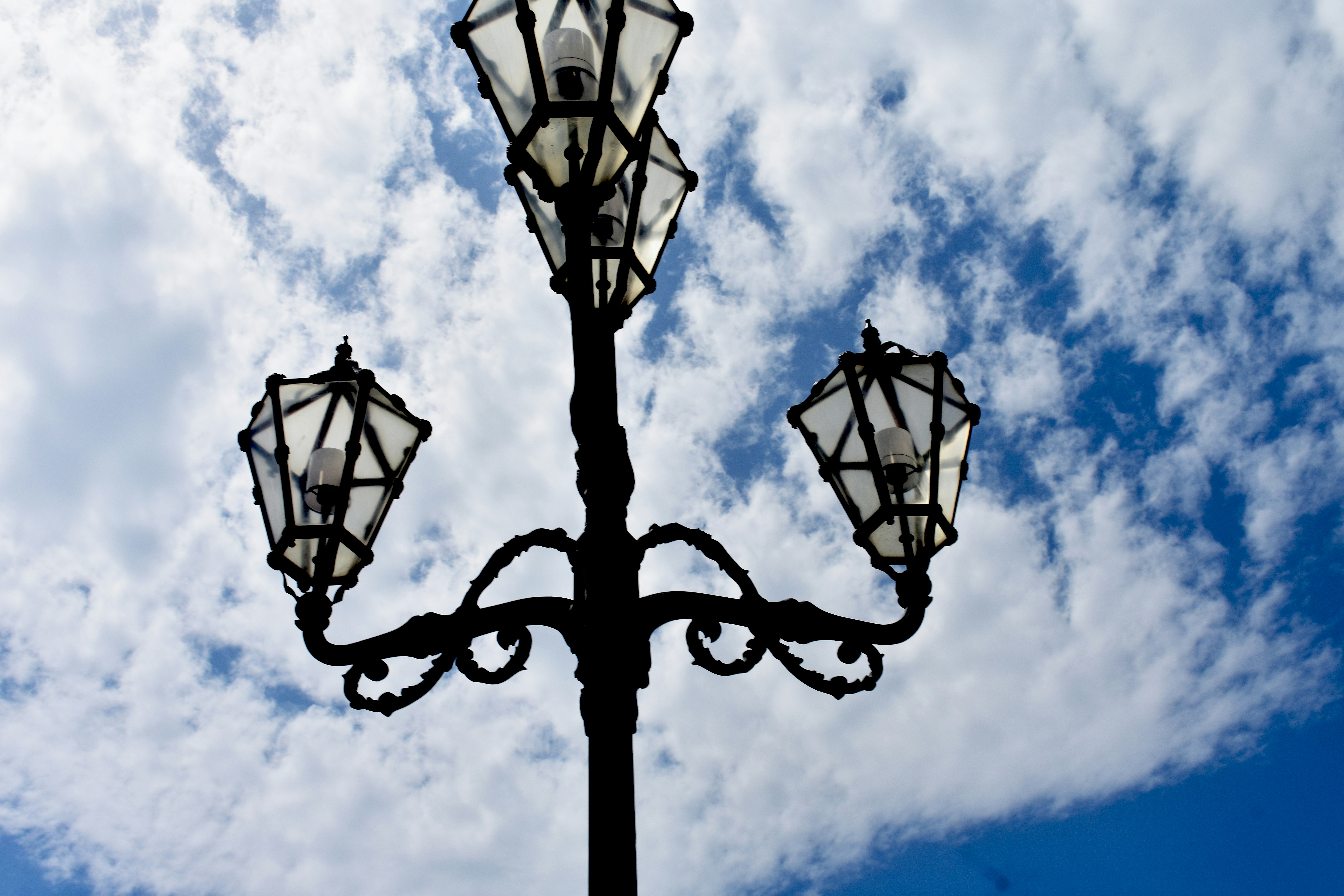 Ornate Luminance: A Lamp Post Against a Sky-Wlecked Canopy
