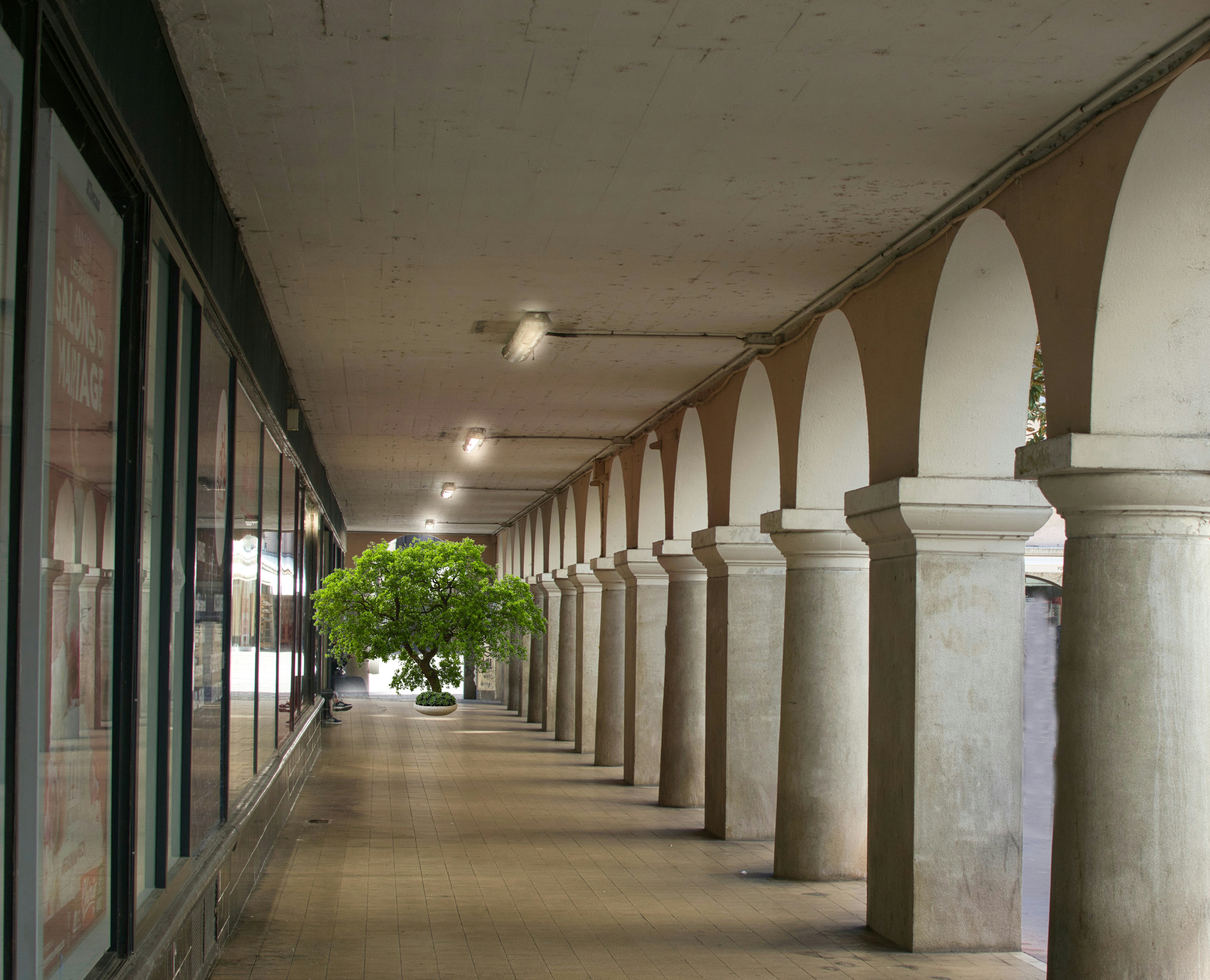Tree of Quiet at the Colonnade