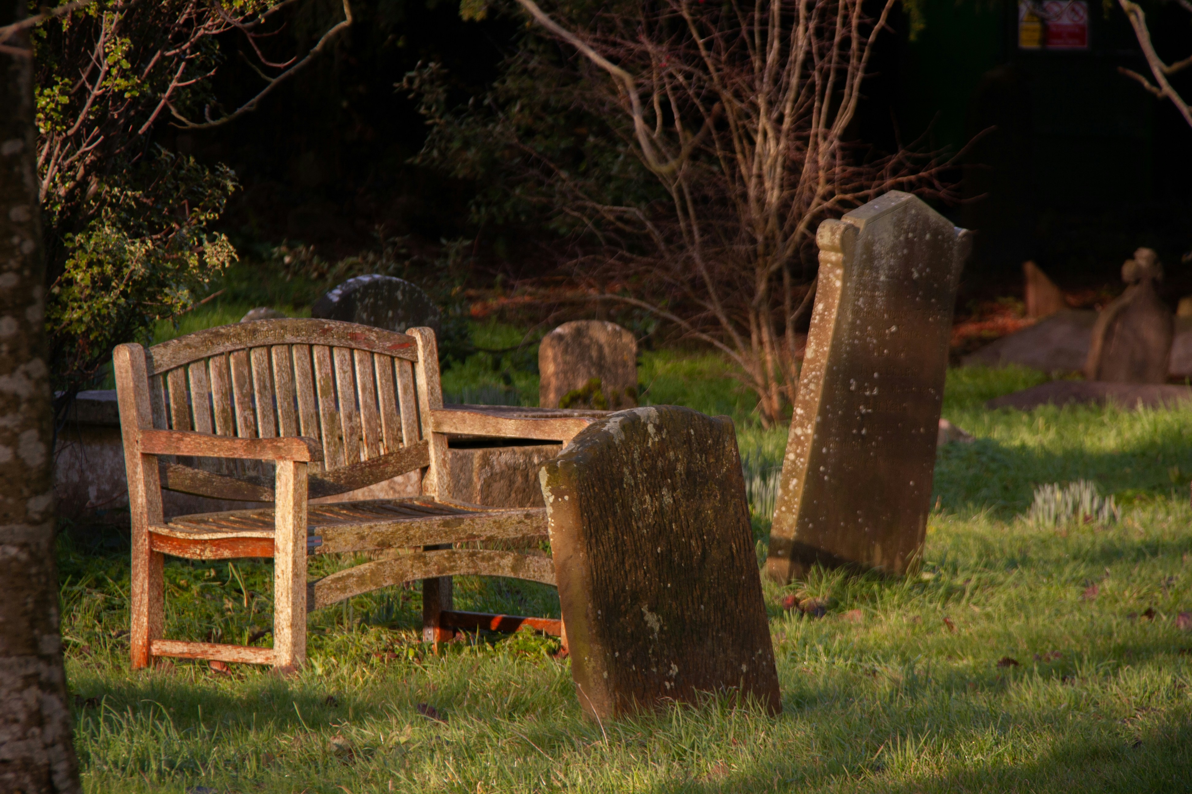Moonlit Rest: A Quiet Cemetery Scene with a Weathered Bench