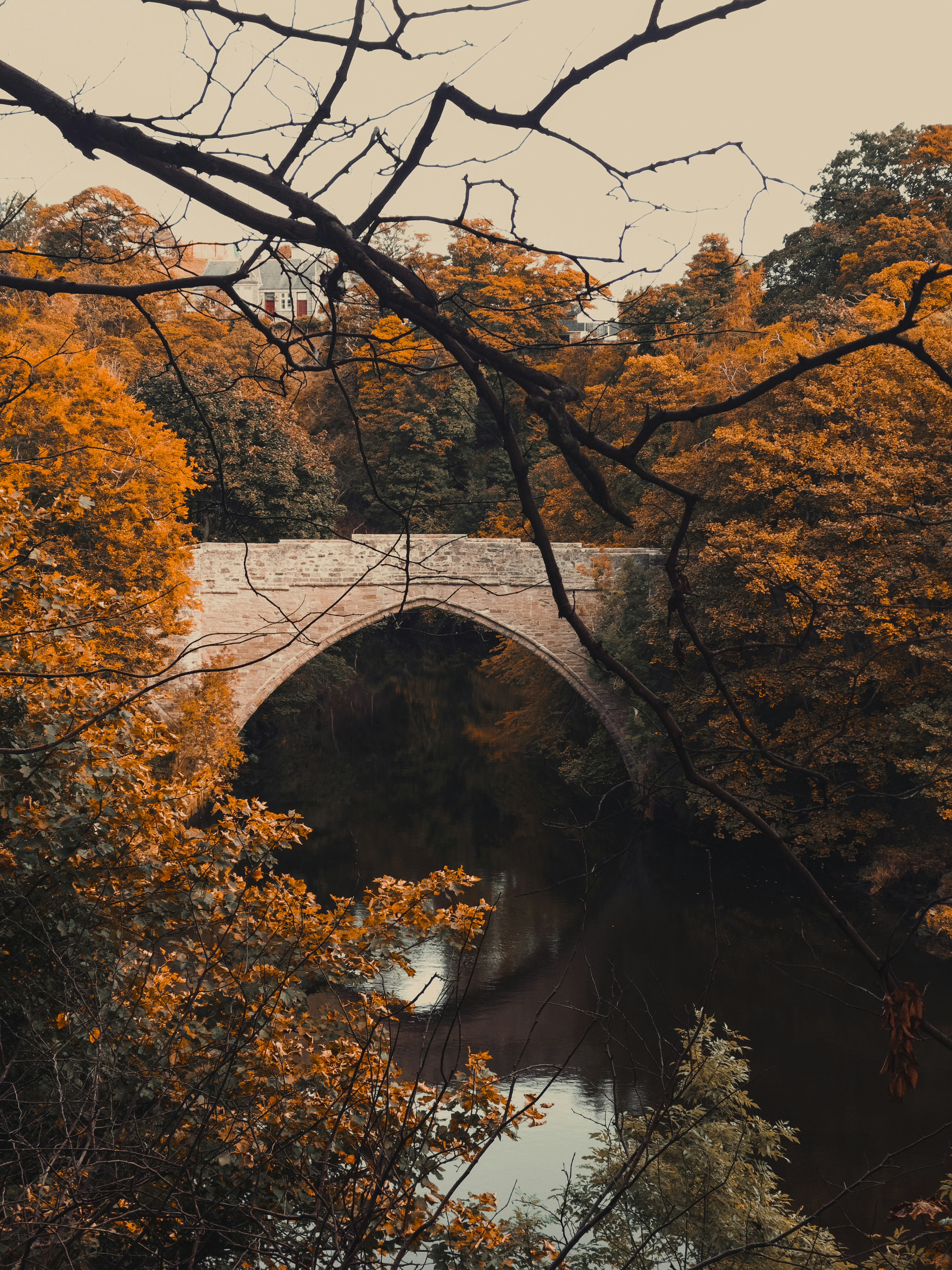 Autumn Bridge Over Quiet Waters