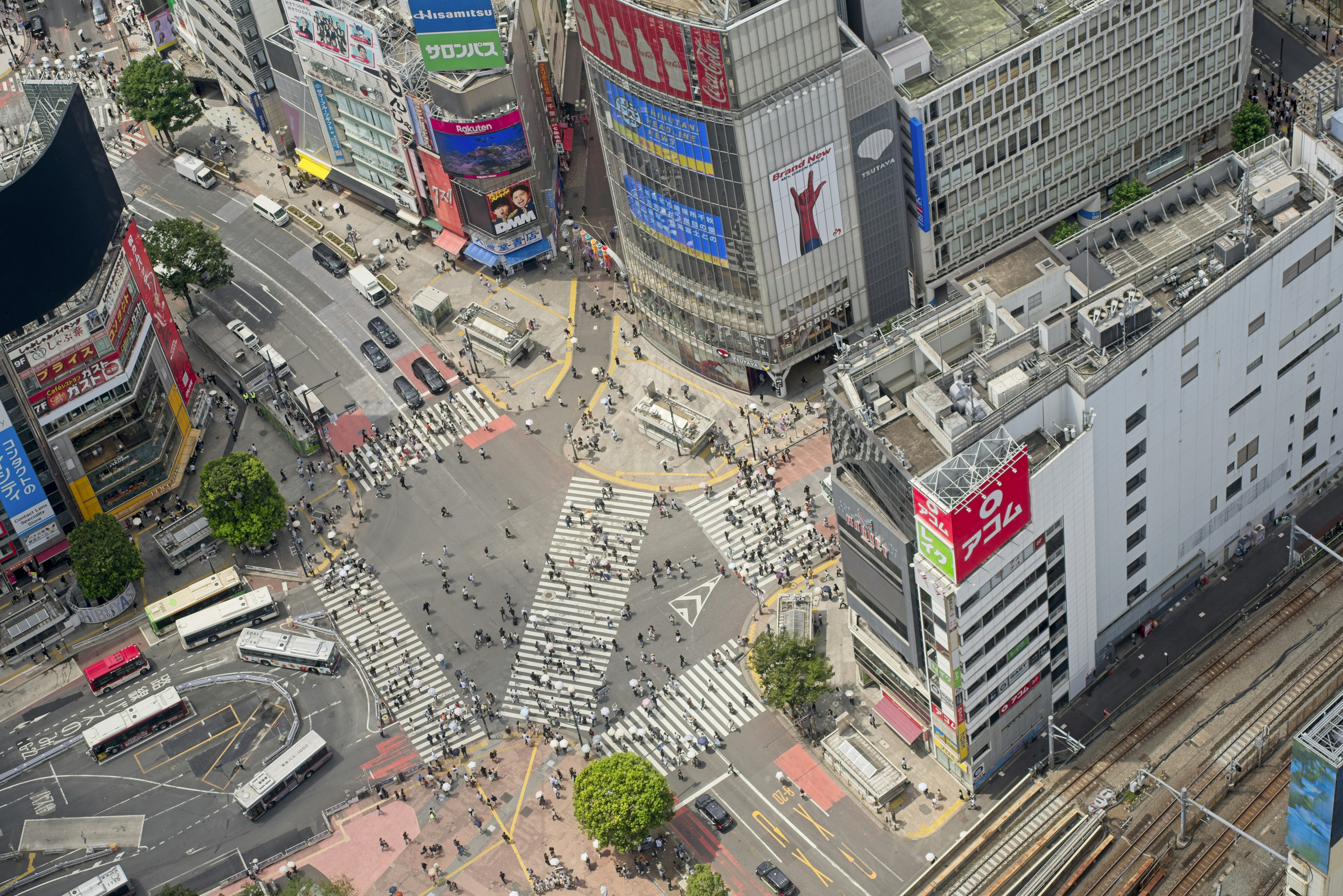 Looking straight down from Shibuya Sky, the world-famous scramble crossing unfolds in striking detail as hundreds of pedestrians move across the crisscrossing white stripes below. Towering billboards for Coca-Cola, Rakuten, and TSUTAYA wrap the surrounding buildings, while buses and cars queue at the intersection's edges. The overhead perspective captures the mesmerizing choreography of Tokyo's most iconic crossing, a chaotic yet orderly dance of foot traffic on a hazy July afternoon.