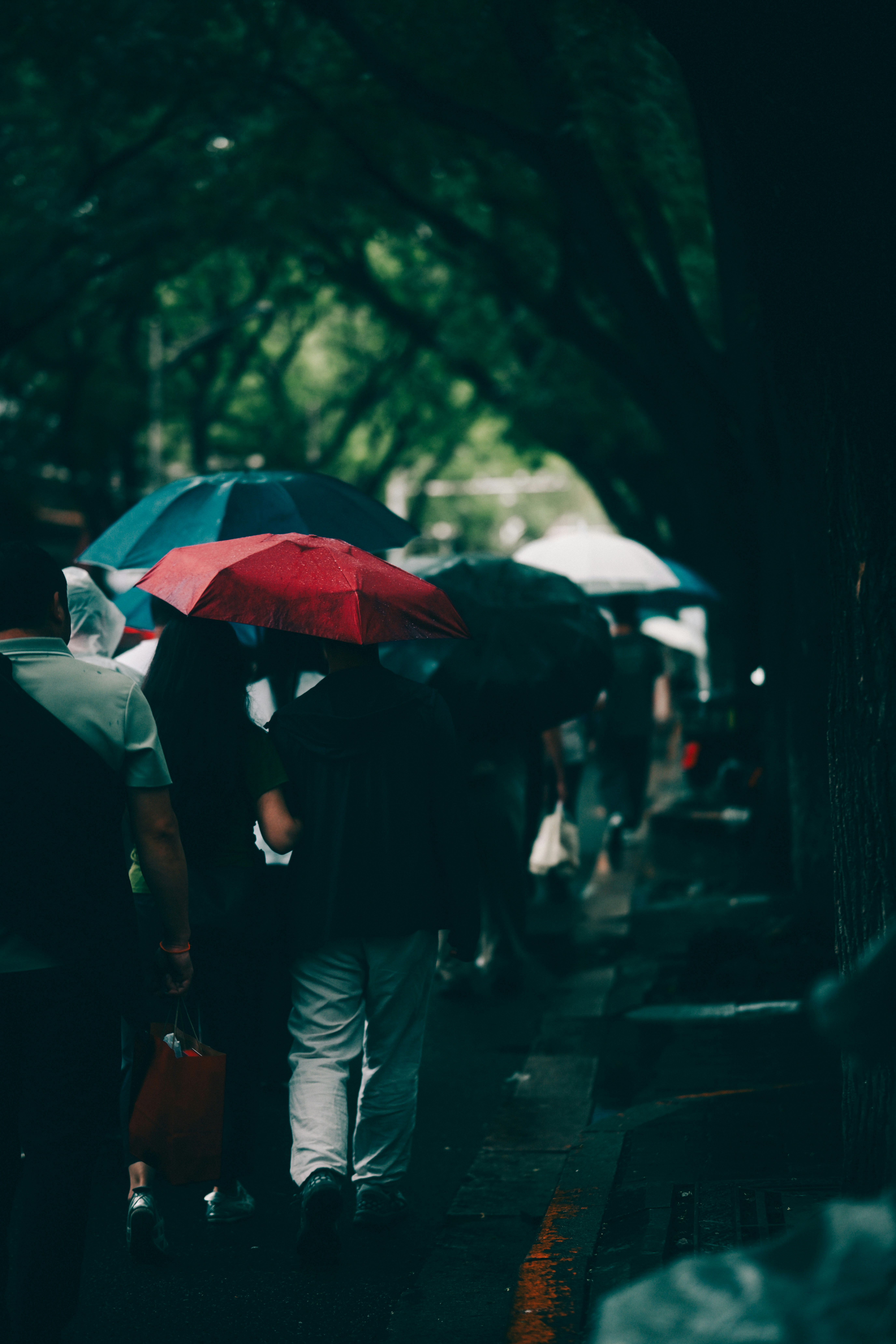 Red Umbrella Among Quiet Rain-Streaked Alley of Passersby