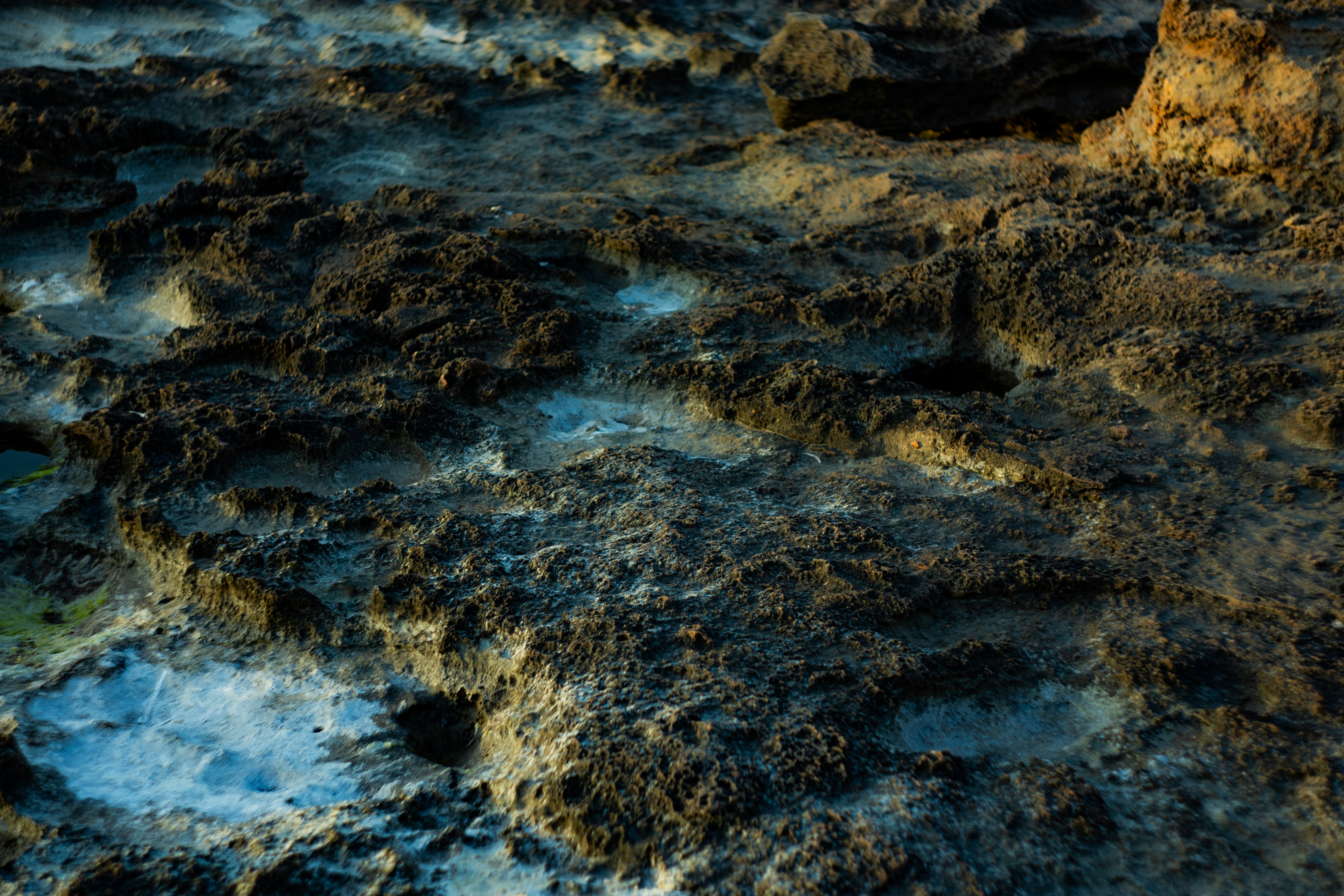 Bleached Tide Pools: Textured Light Across Weathered Rock