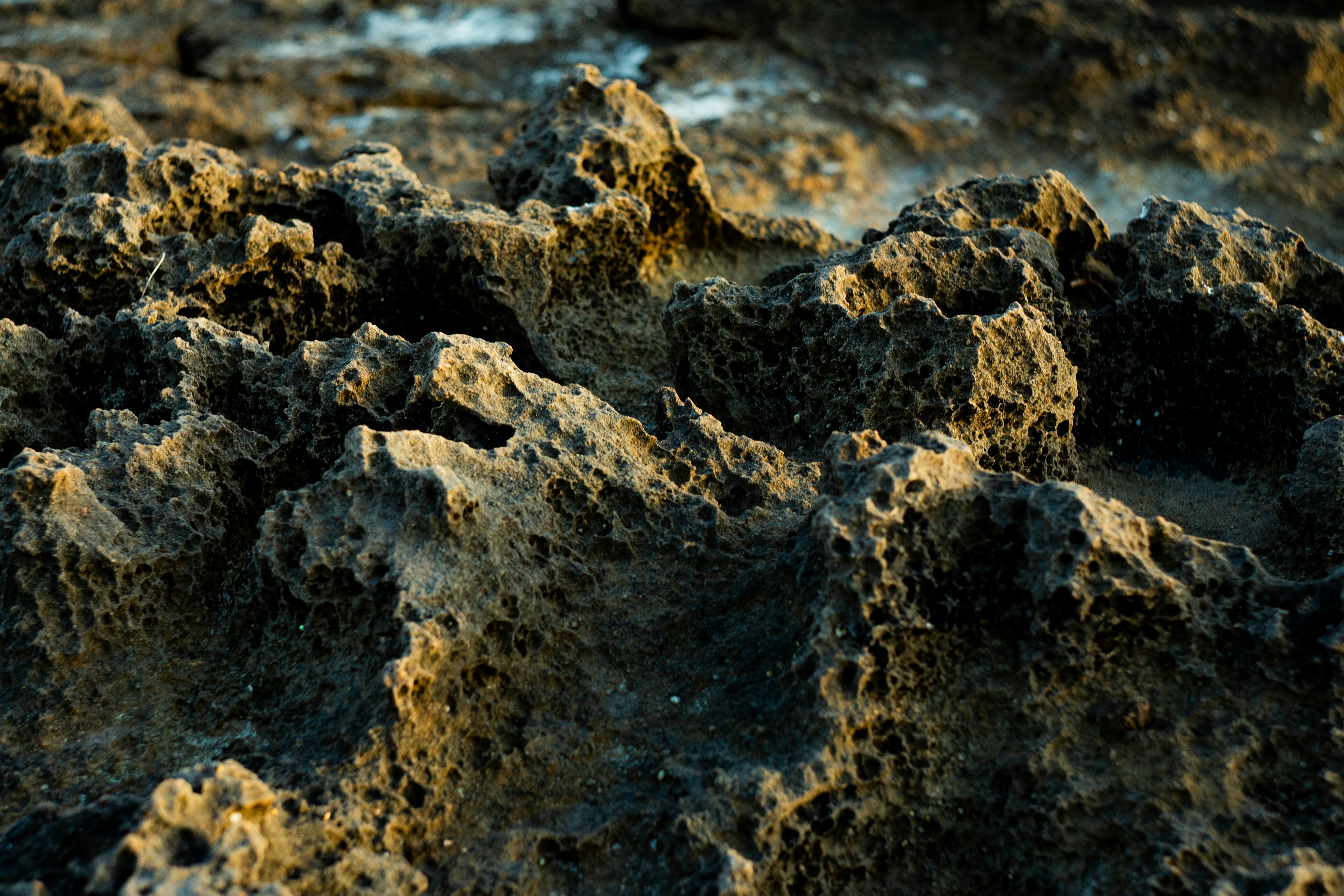 Golden Shadows on Rugged Lava Rock