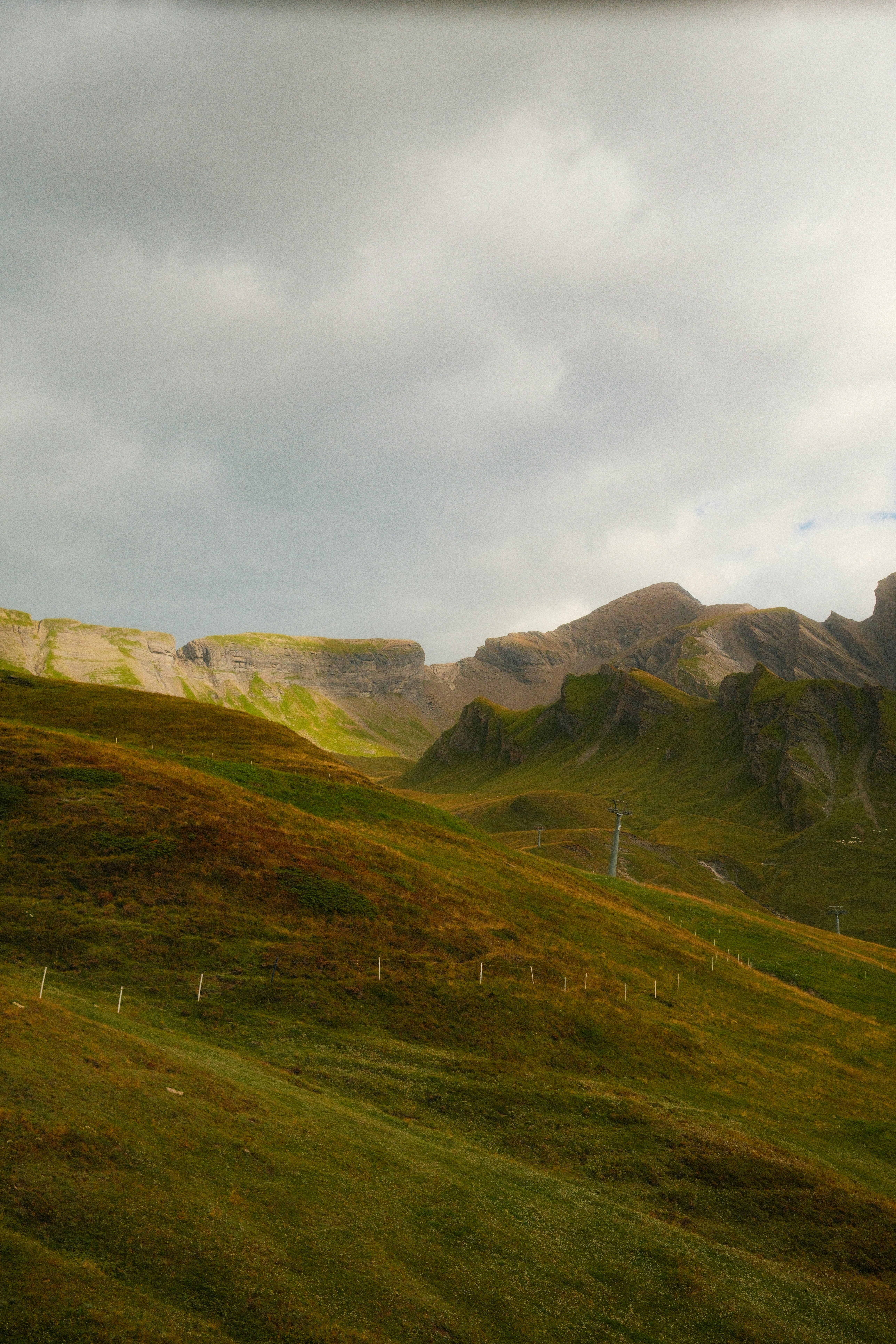 Verdant Ridge Under Soft Skies