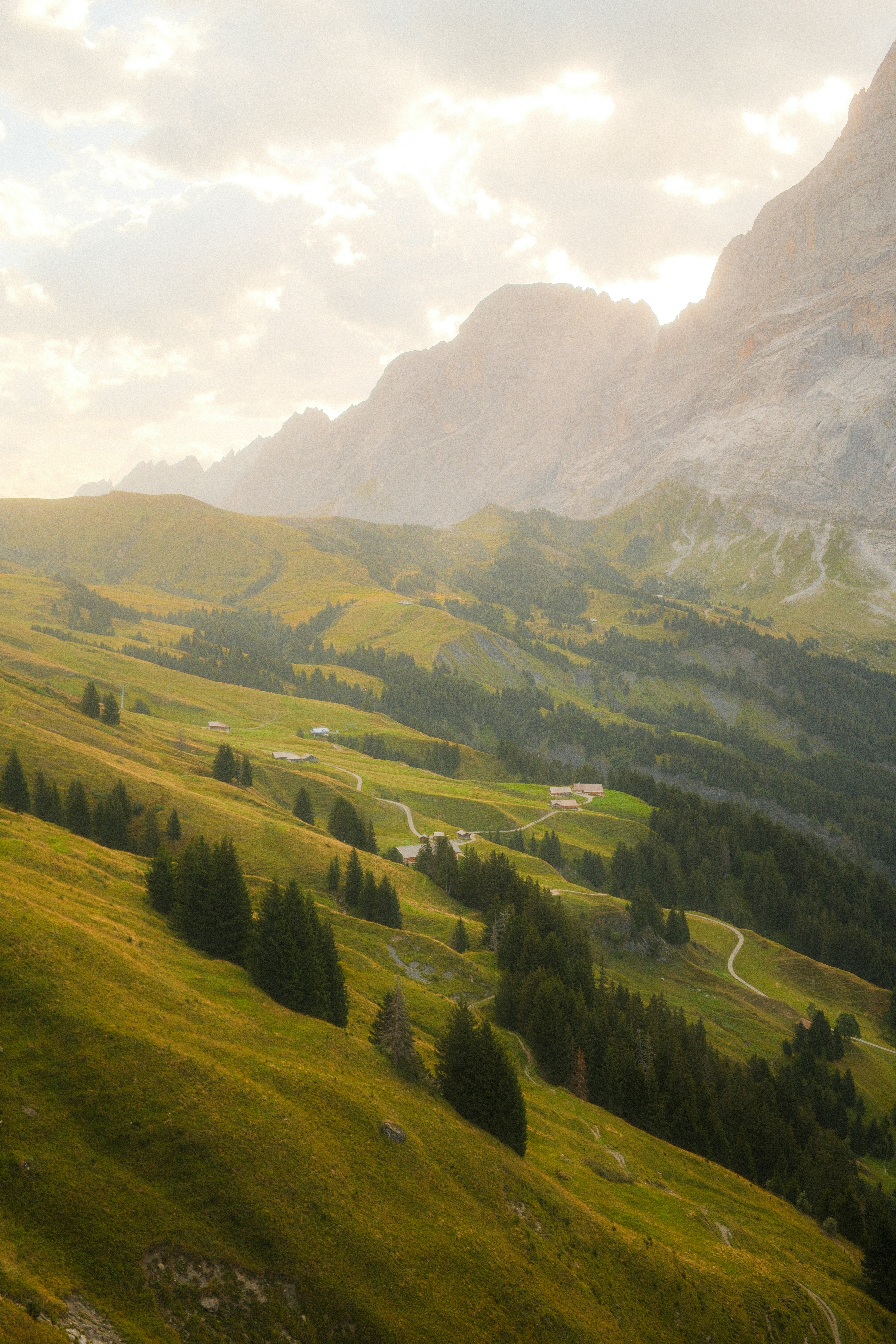 Golden Valley Ridge: A Quiet Ascent Beneath Craggy Peaks