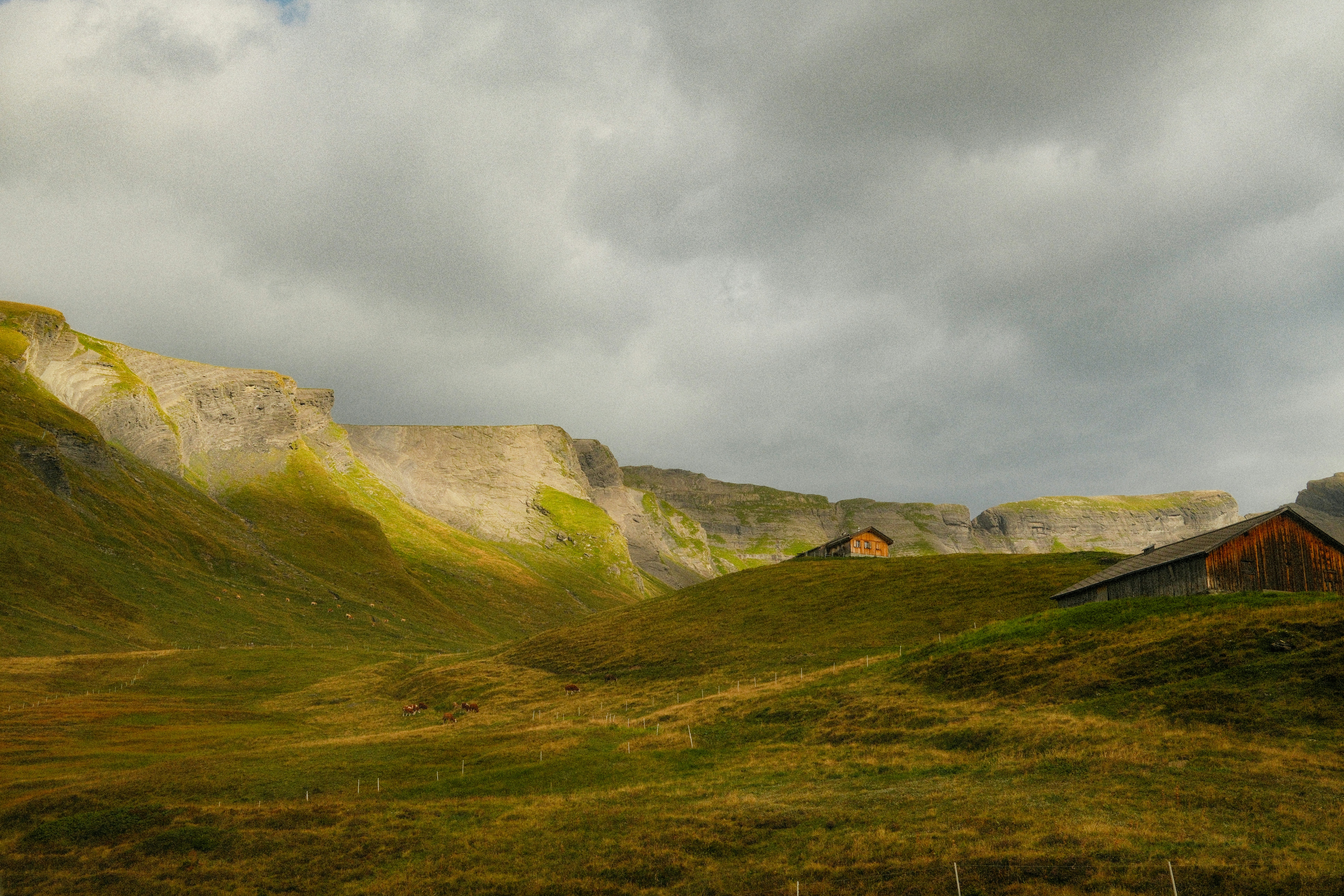 Echoes of the Wind-Swept Valley