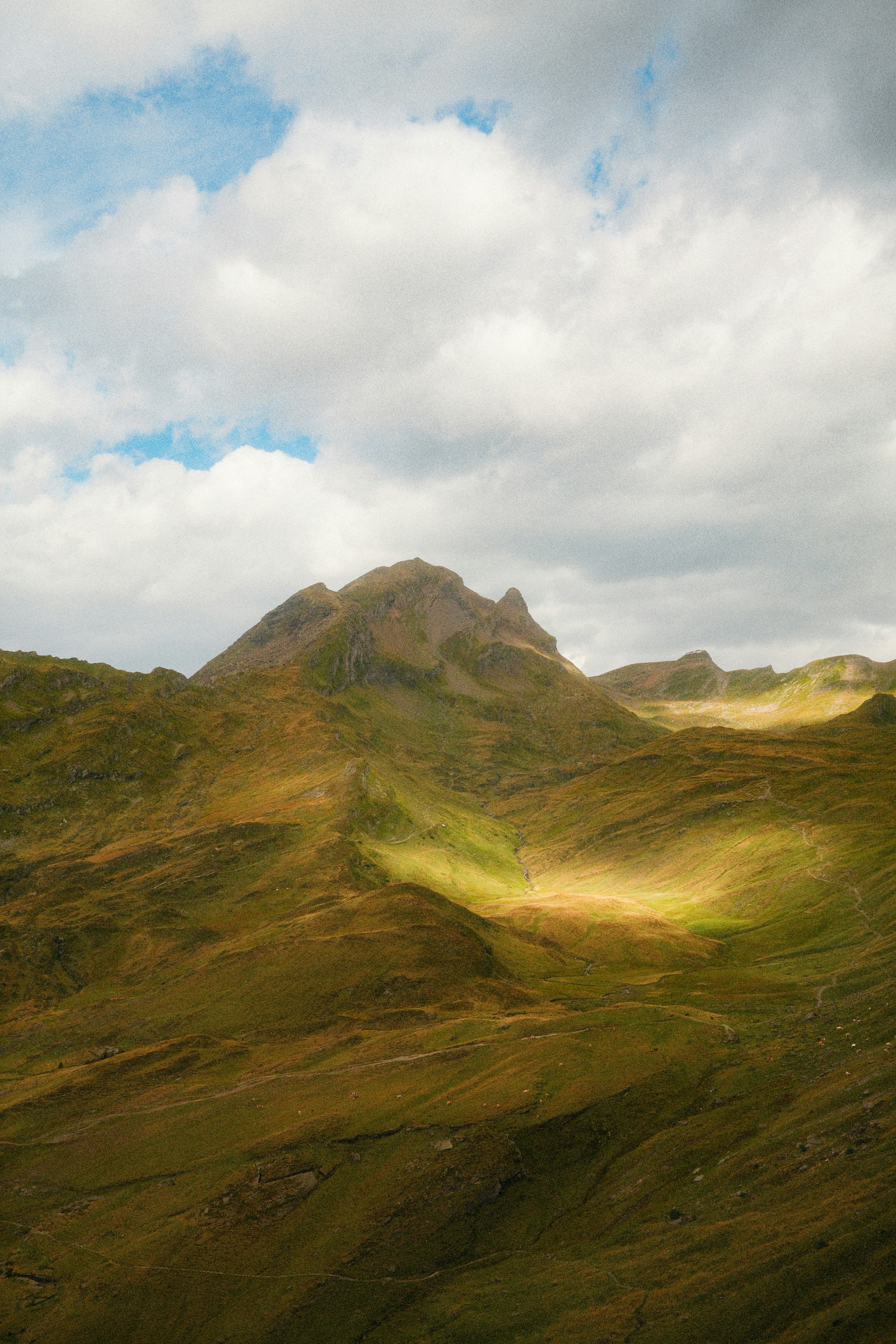 Summit Meadow: Light Touches the Ridge
