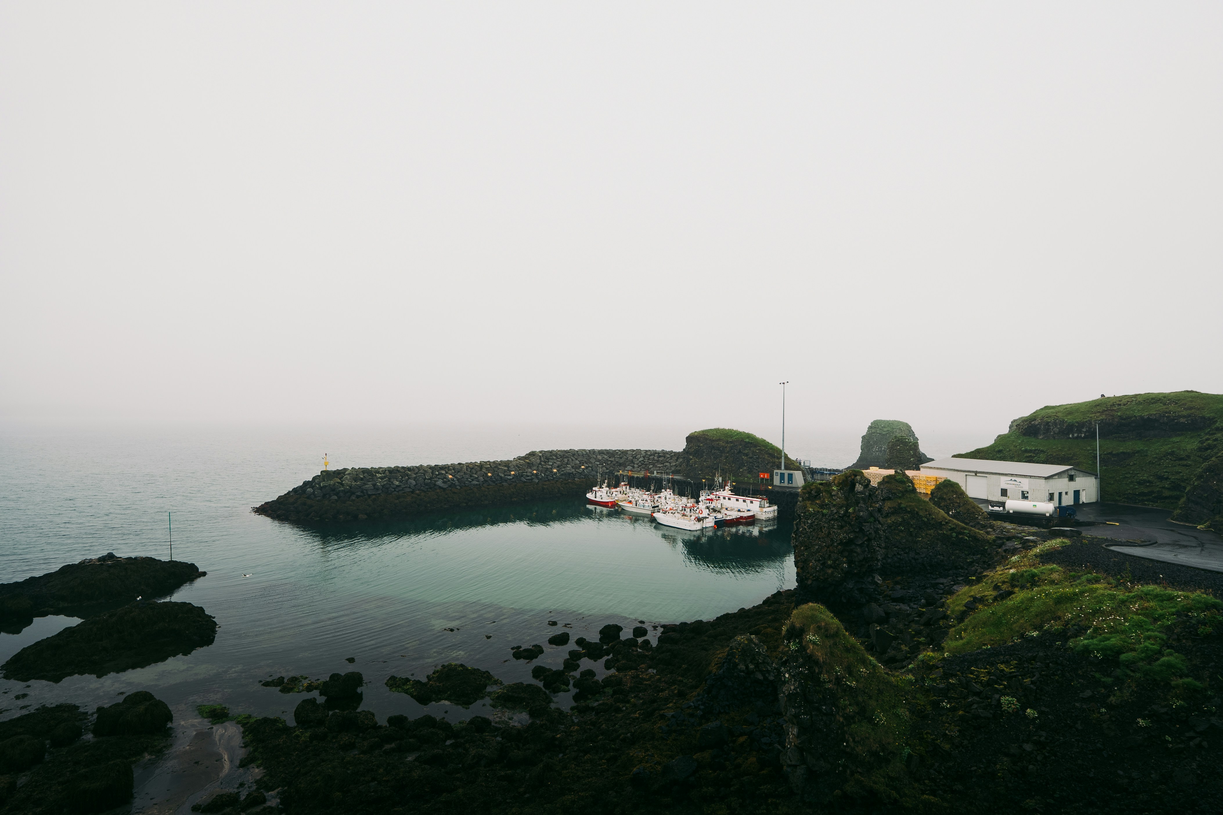 Harbor Crest at Dusk: Quiet Boats and Mossy Breakwater