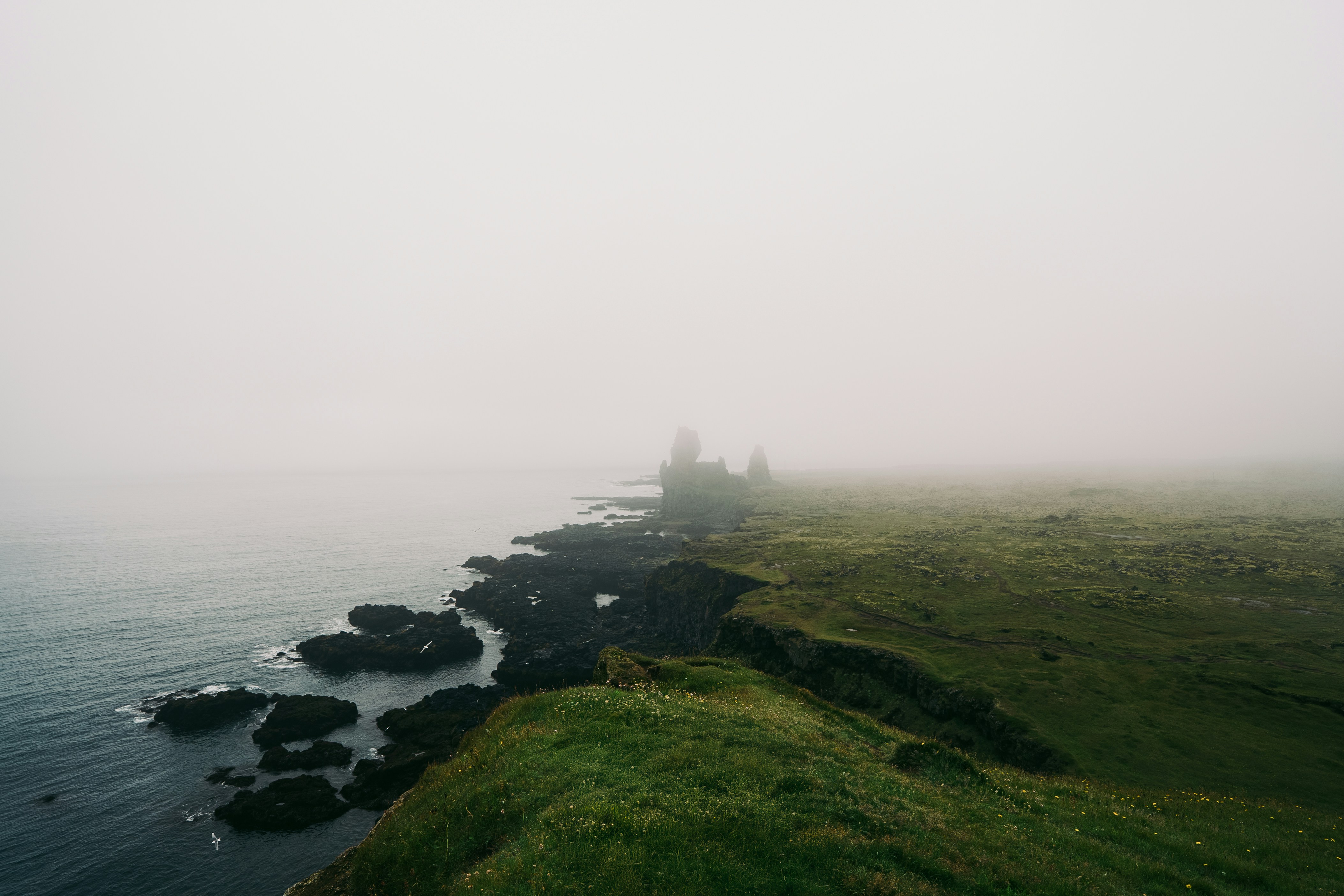 Coastal Cliffs Drowned in Fog