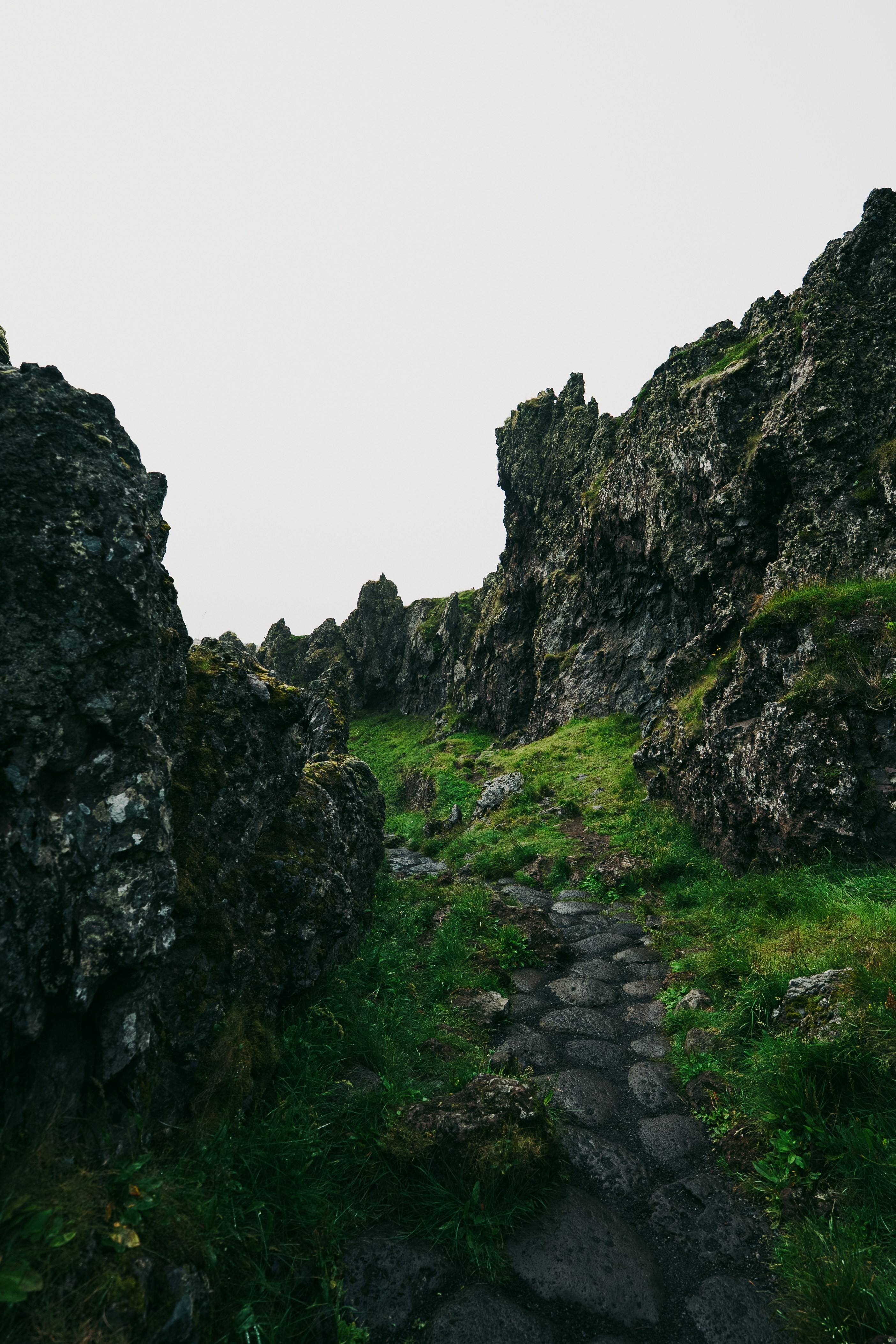 Rugged Path Through Mossy Grottoes