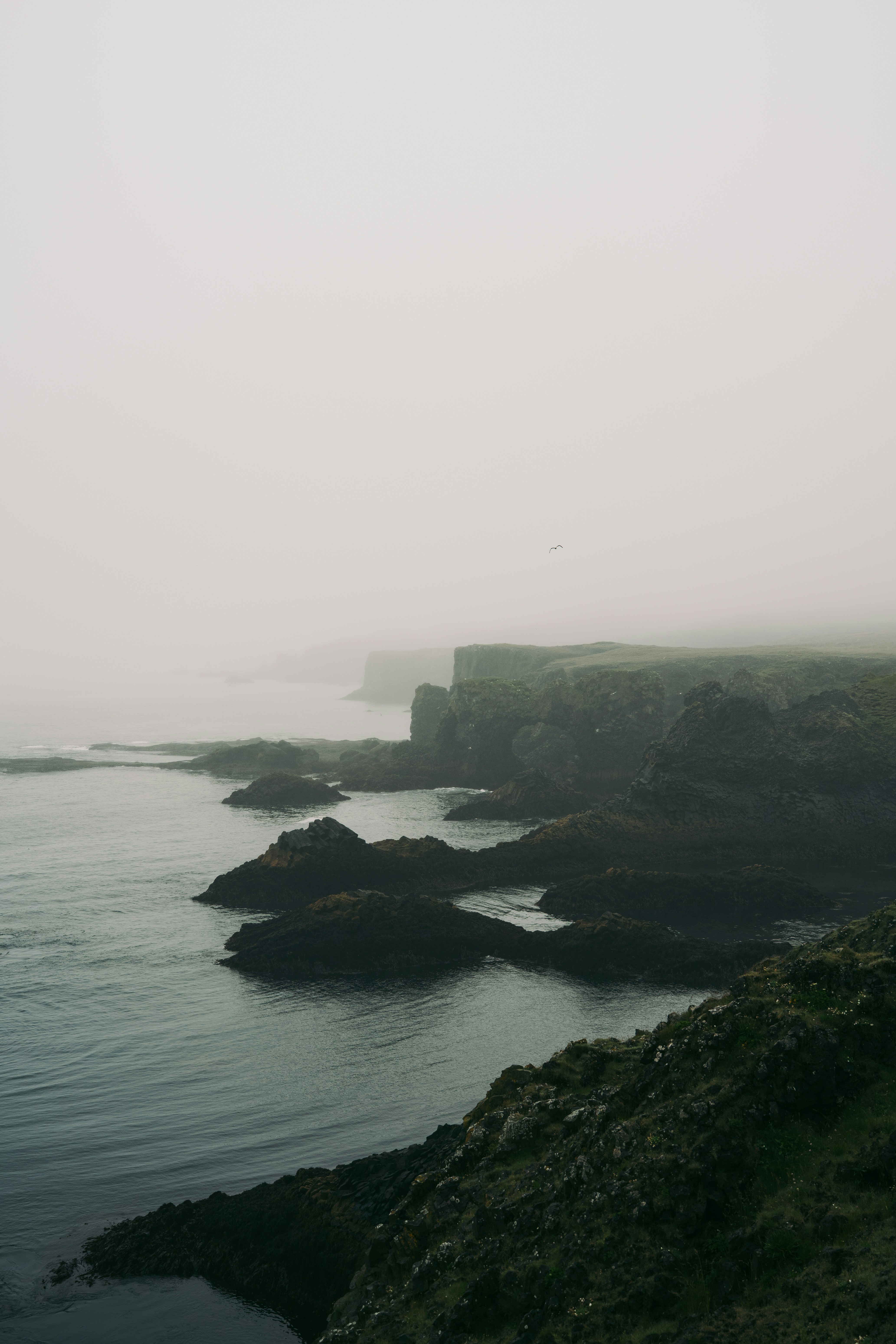 Mist over rugged cliffs: a quiet coastline dissolves into fog