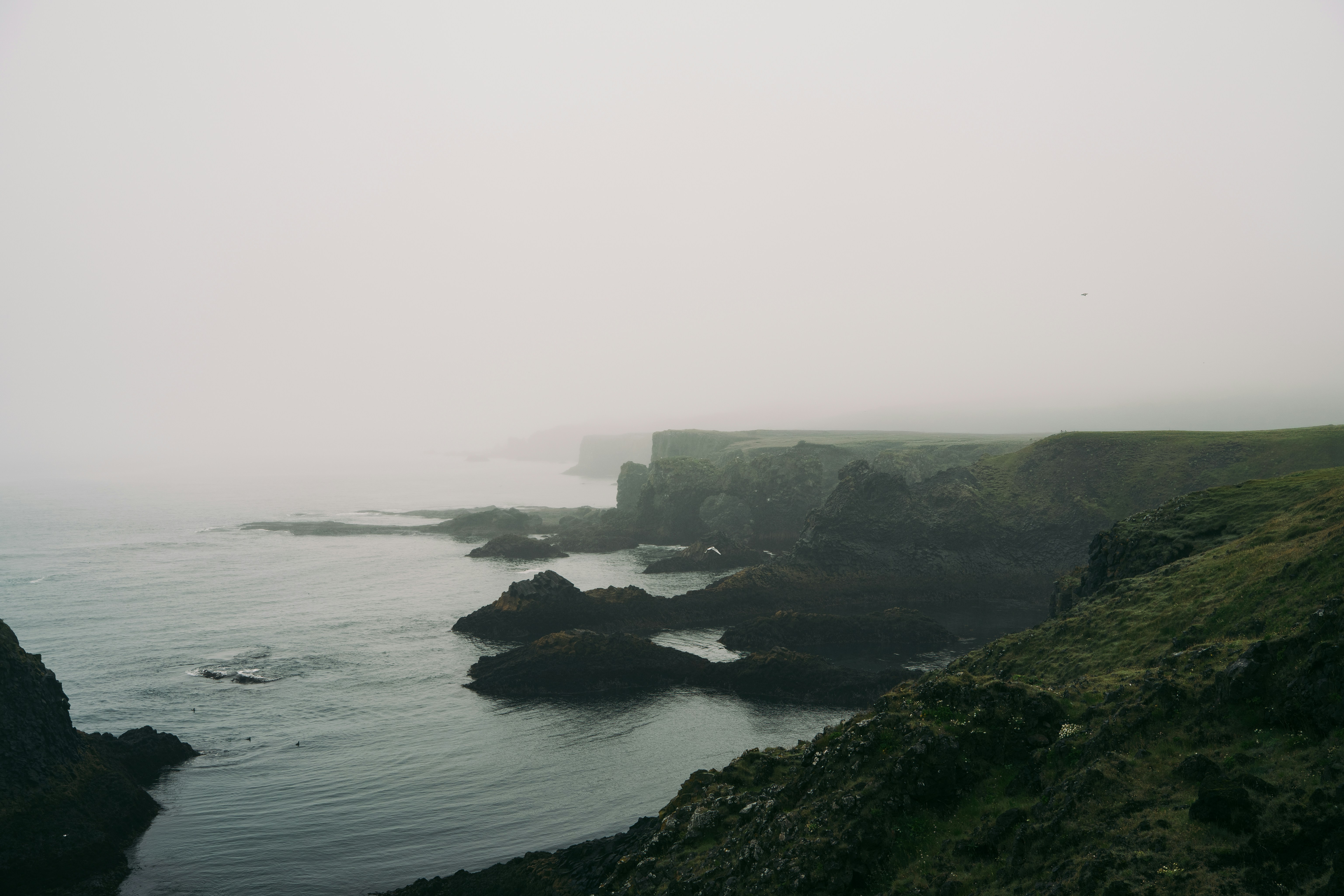 Misty Cliffs: Shoreline Silhouettes in Quiet Grau