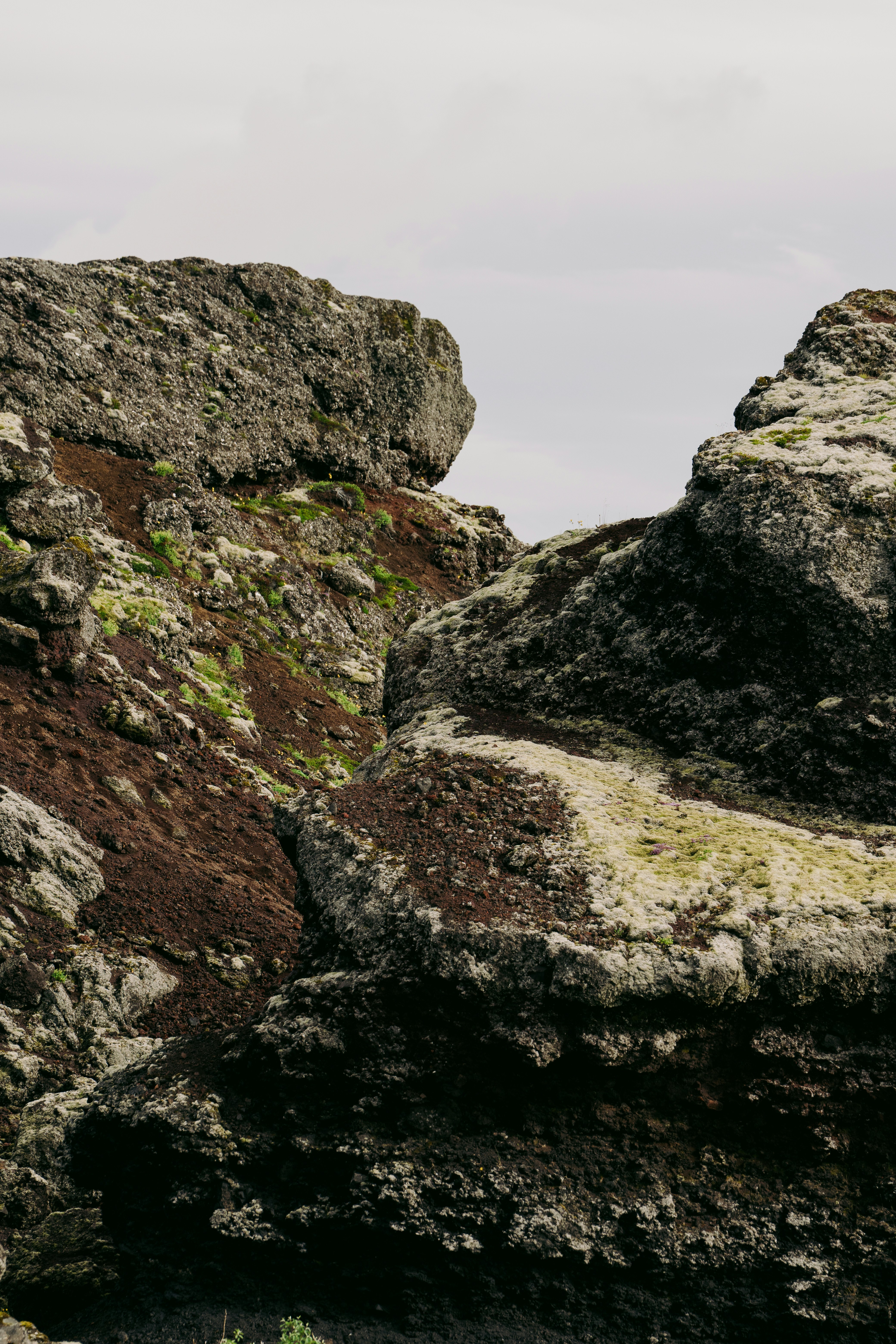 Lichen-clad cliffs, weathered basalt revealing mossy crevices
