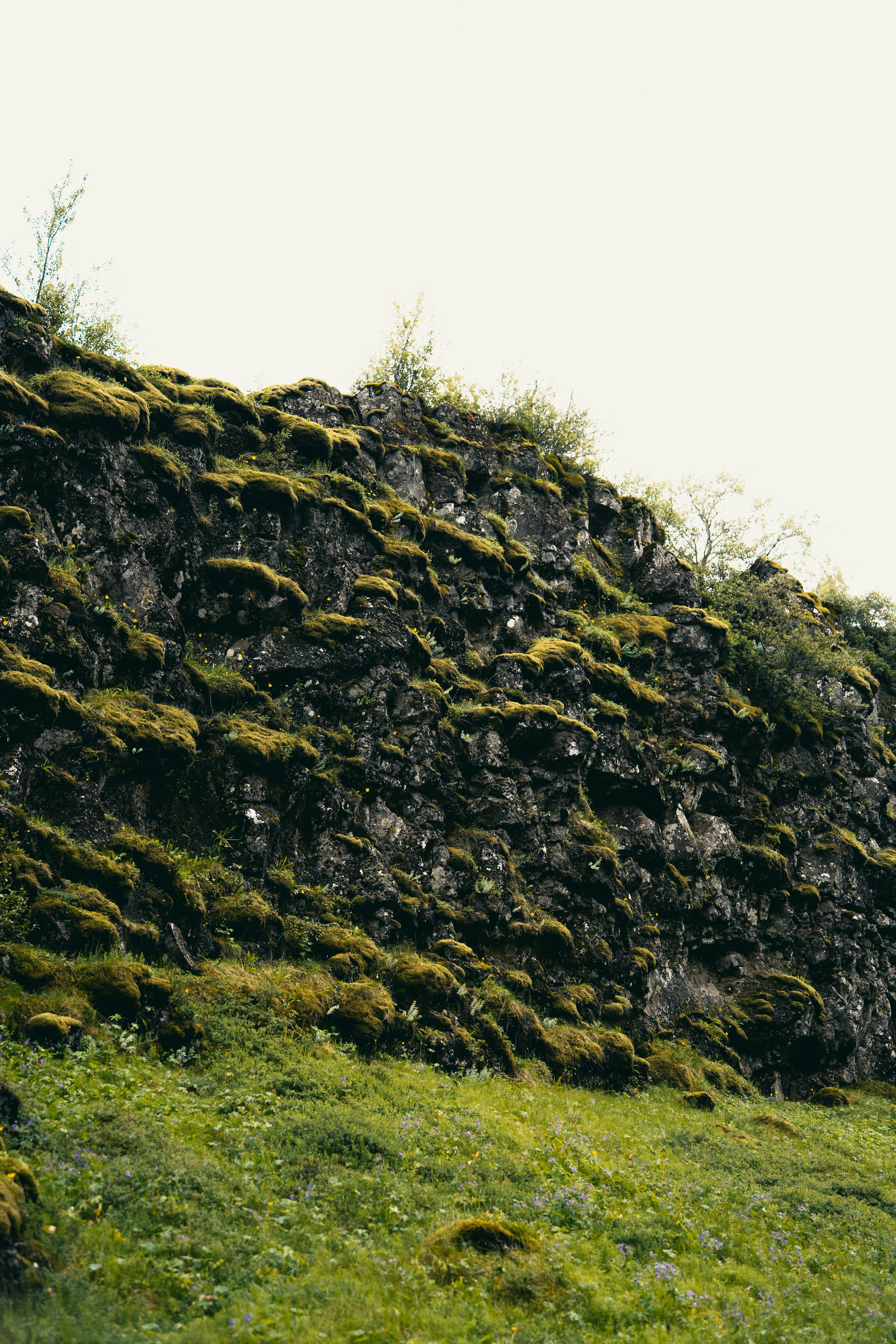  Moss-Cloaked Stone Wall Soaring Over a Verdant Base