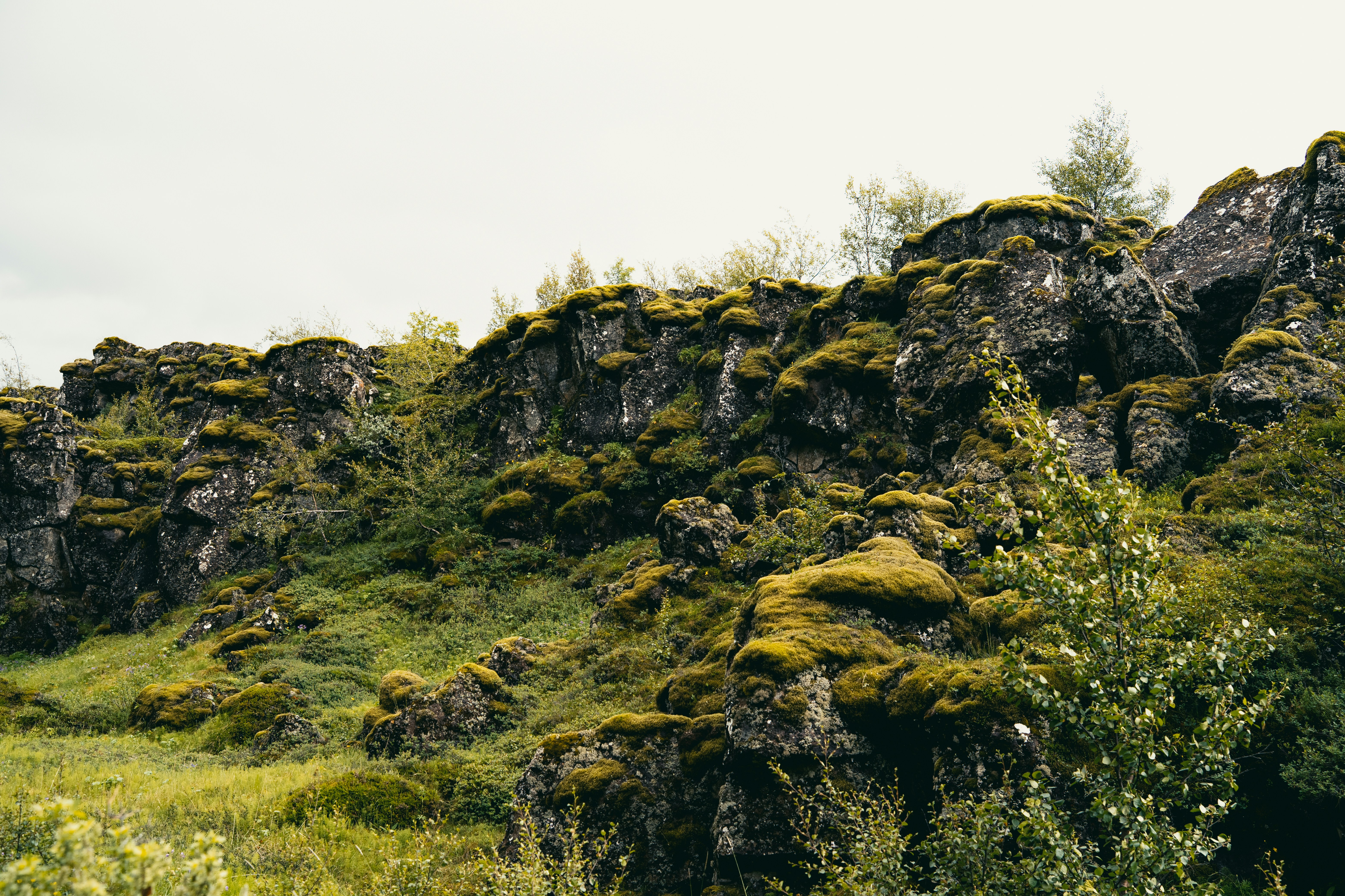 Moss-Covered Cliffs: Green Onyx in a Quiet Highlands Wall