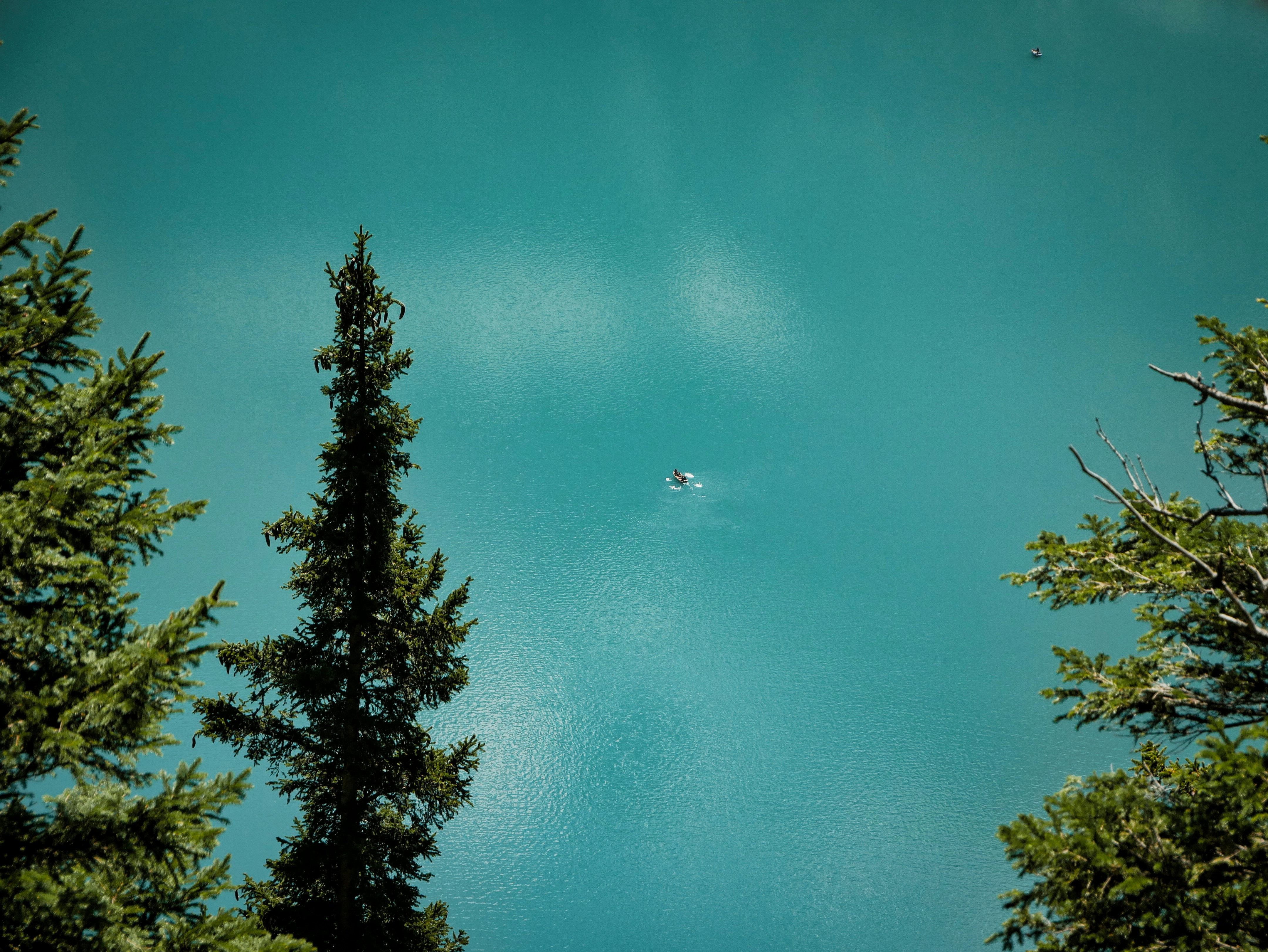 Emerald Mirror: A Lone Boat Between Pines on Turquoise Waters