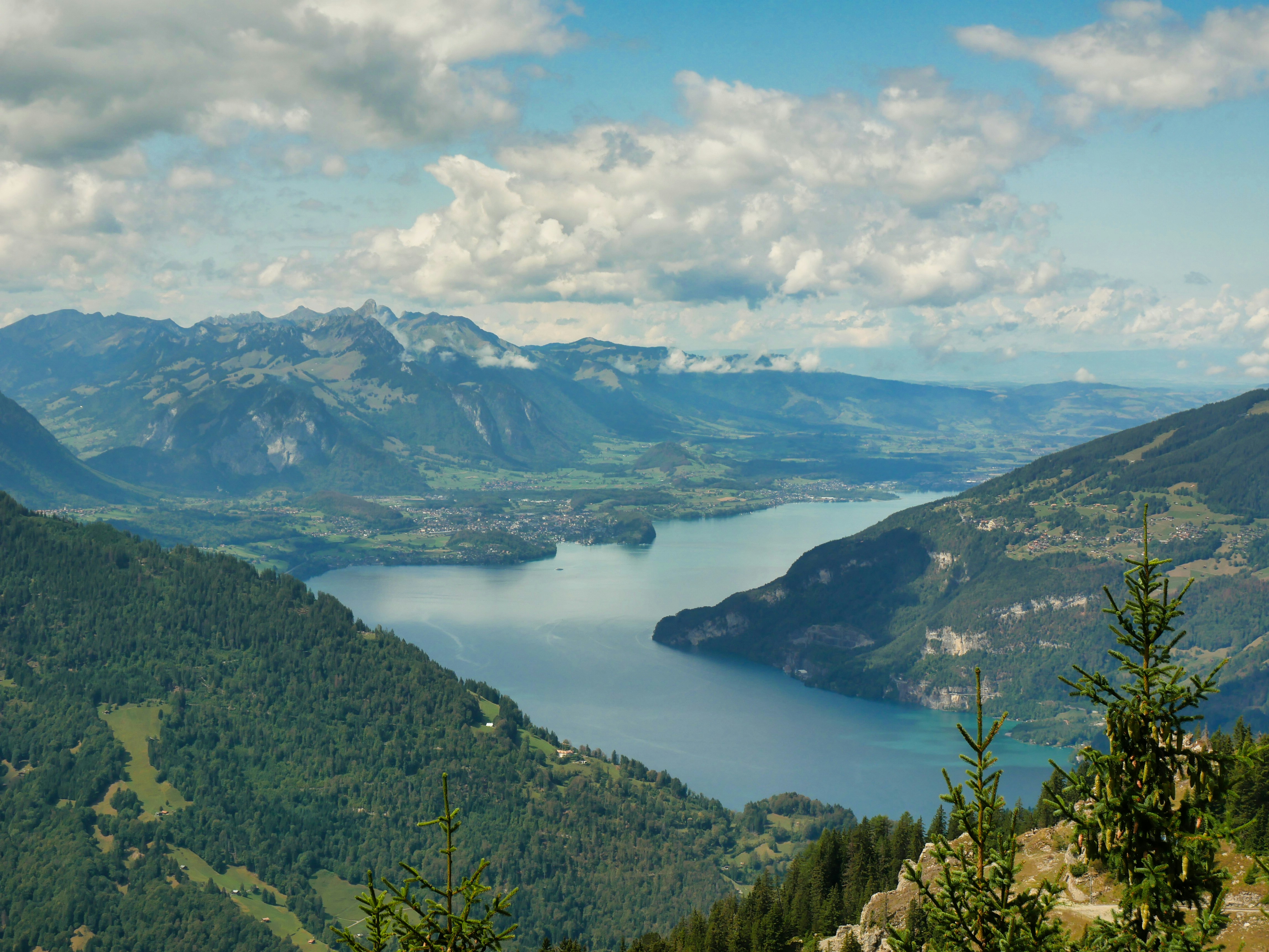Serene Alpine Fjord: A Lake Snaking Between Peaks