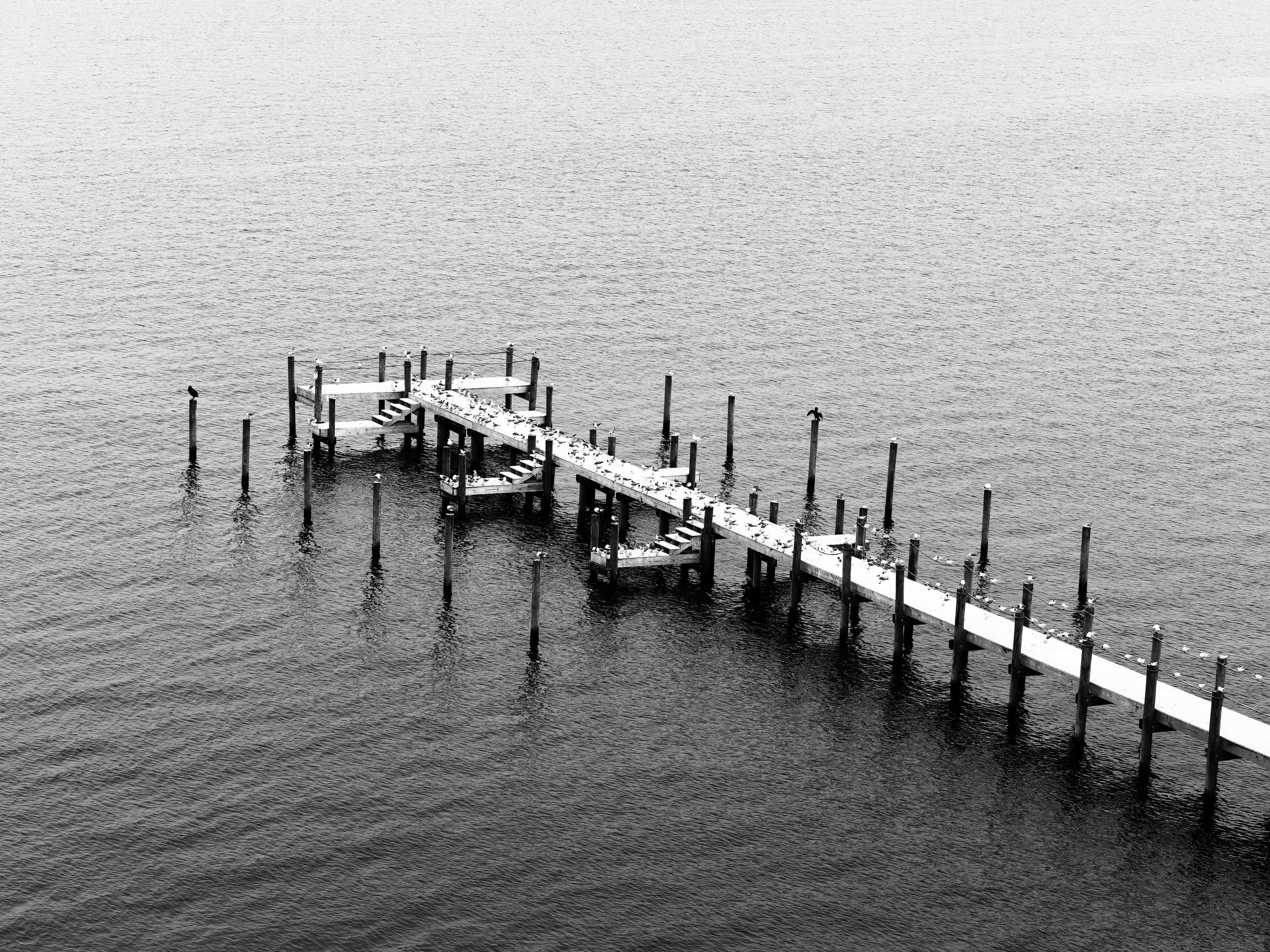 Pier in Quiet Waters: A Monochrome Study of Lines and Light