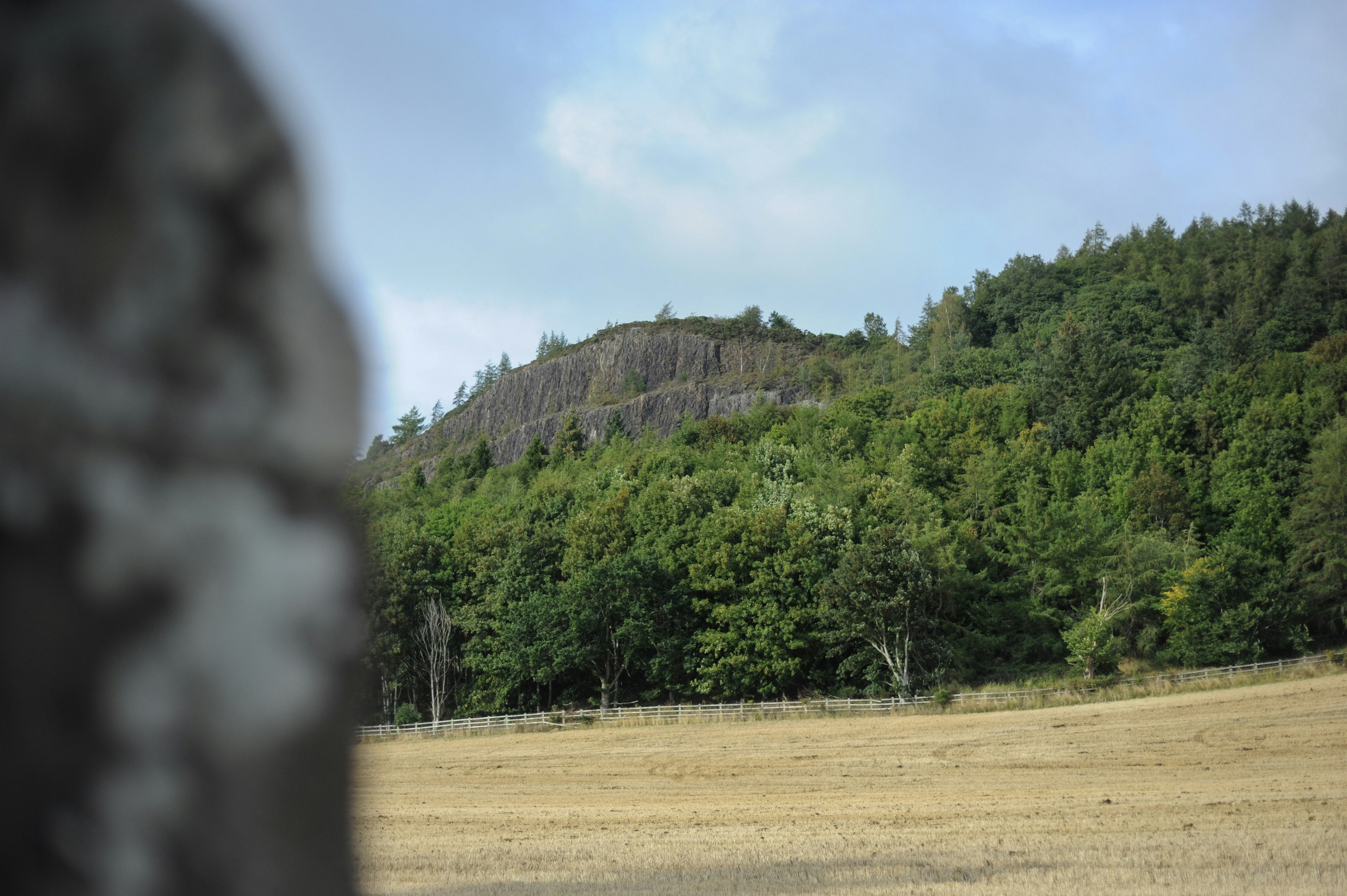 Quiet hillside ridge beyond a sunlit field