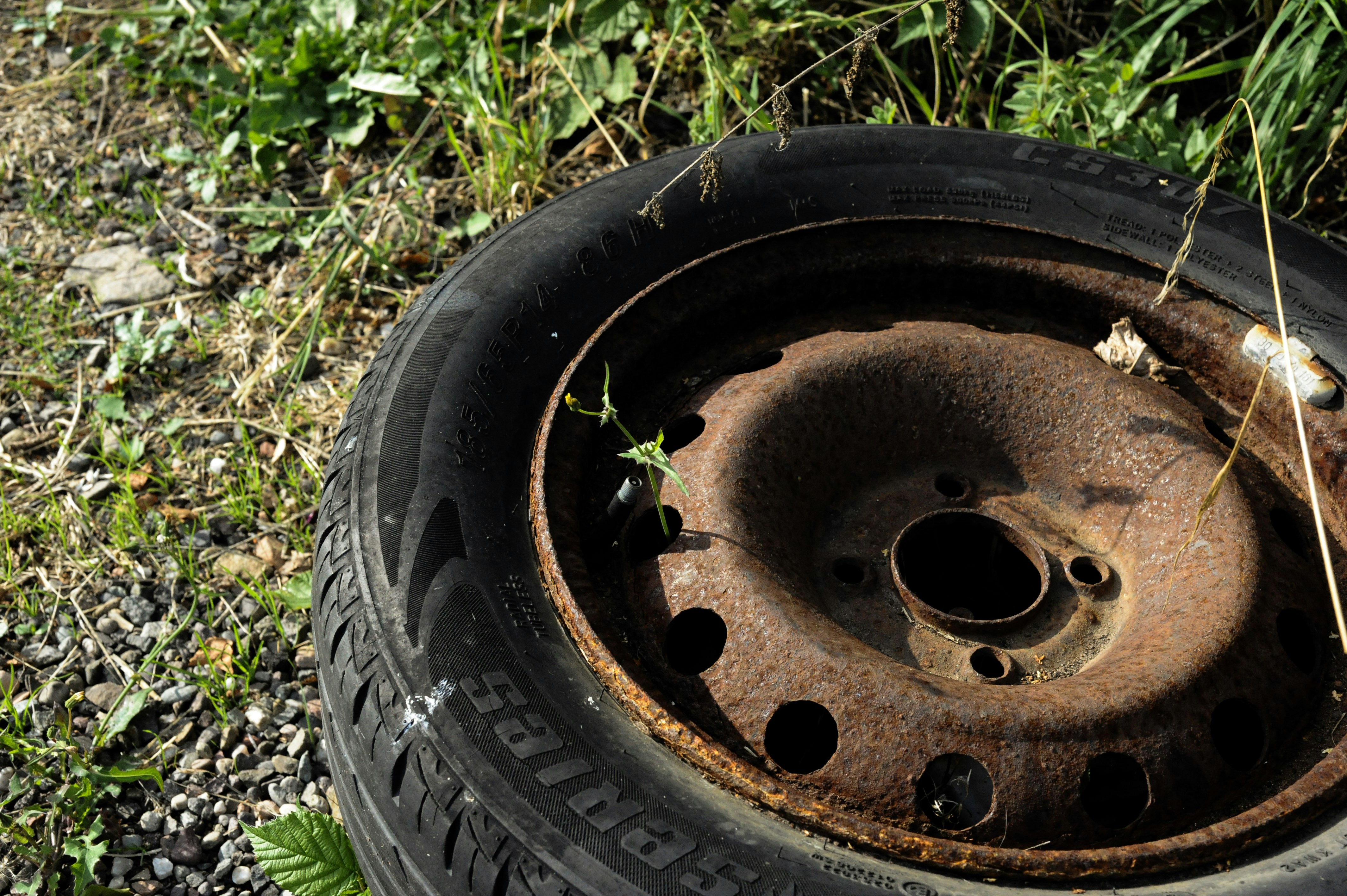 Rust and Ruin in a Grass-Strewn Parking Lot