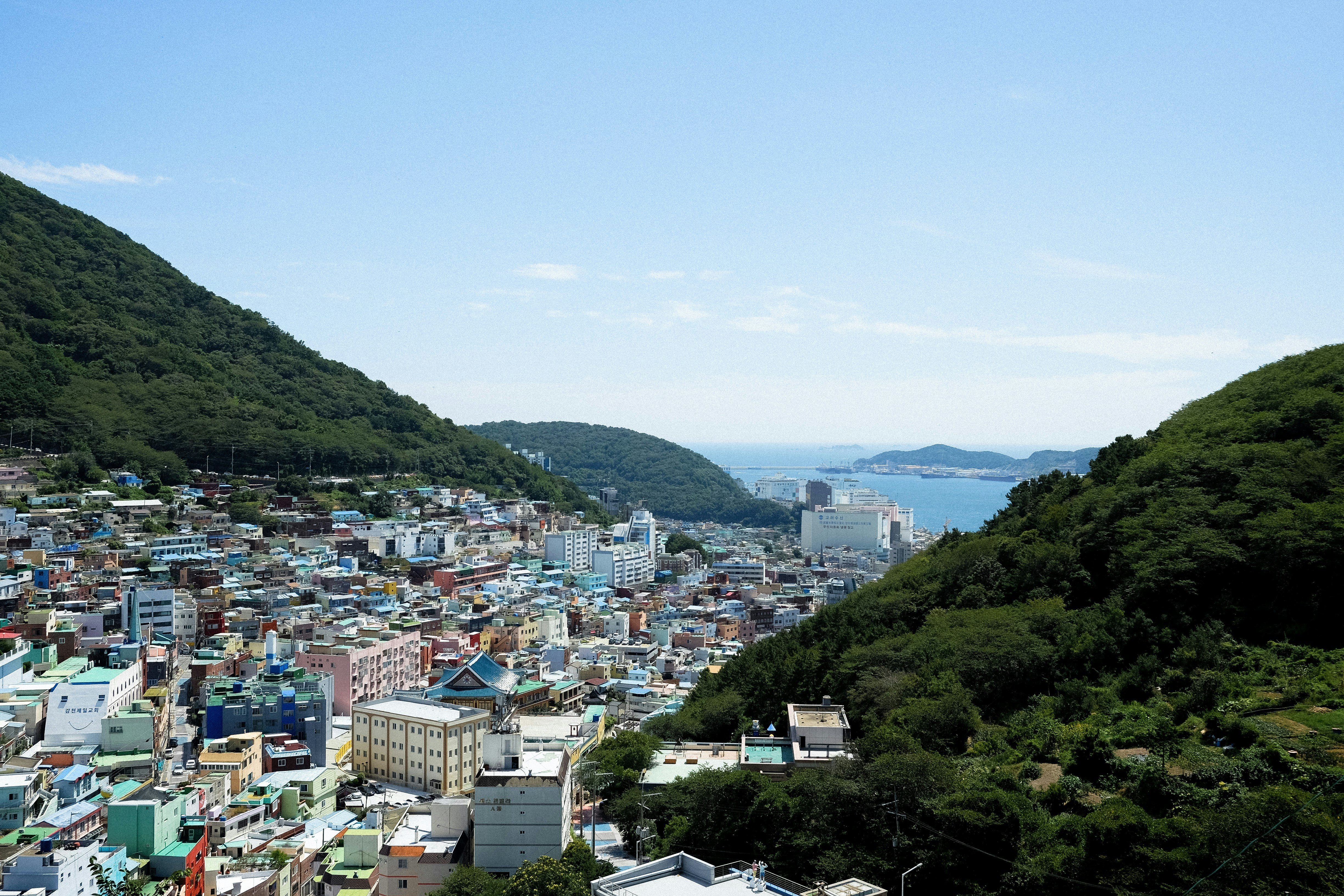 Harbor Crest: A Colorful Coastal Town Nestled Between Green Slopes