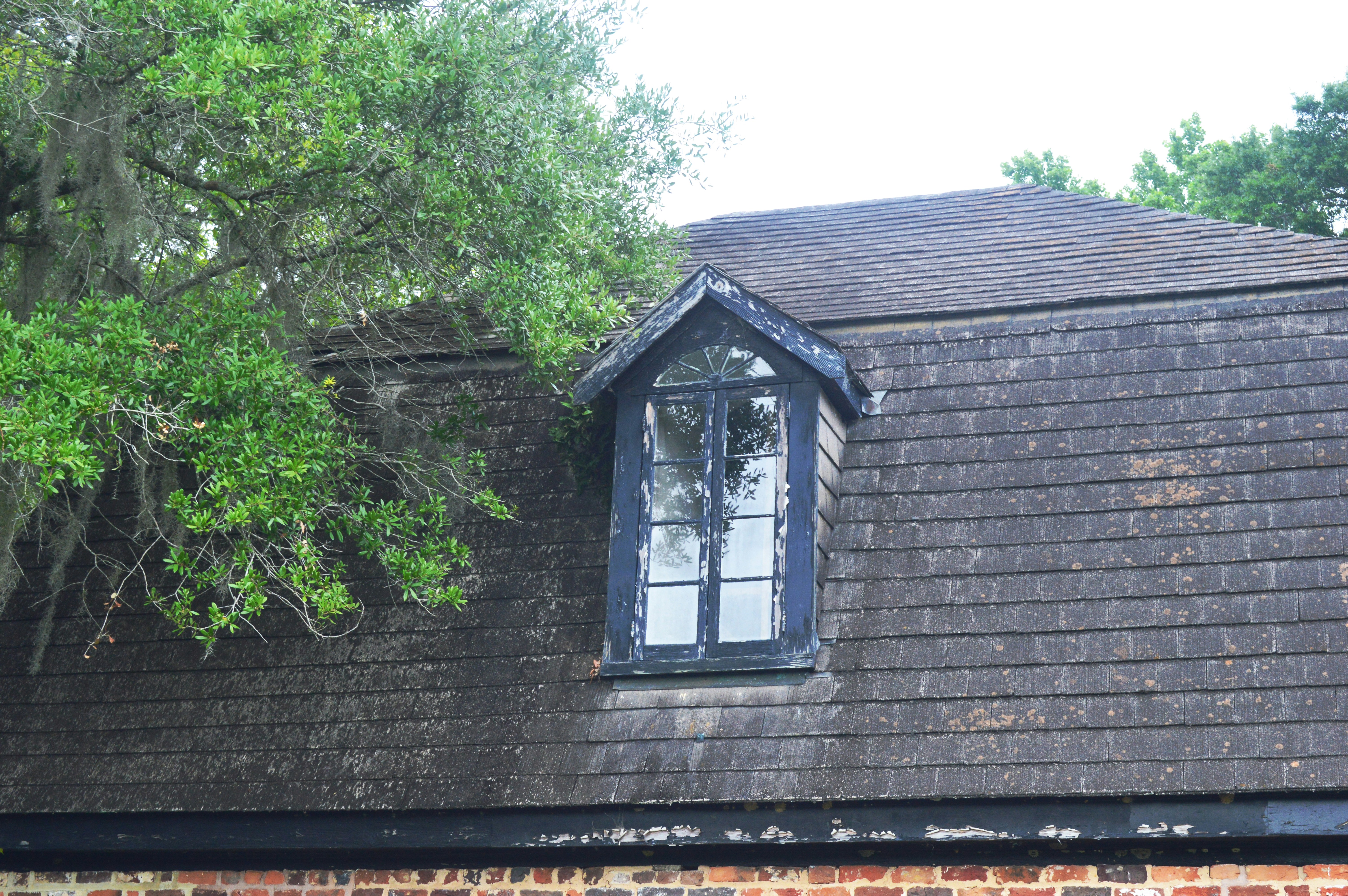 Dormer Window on a Weathered Slate Roof