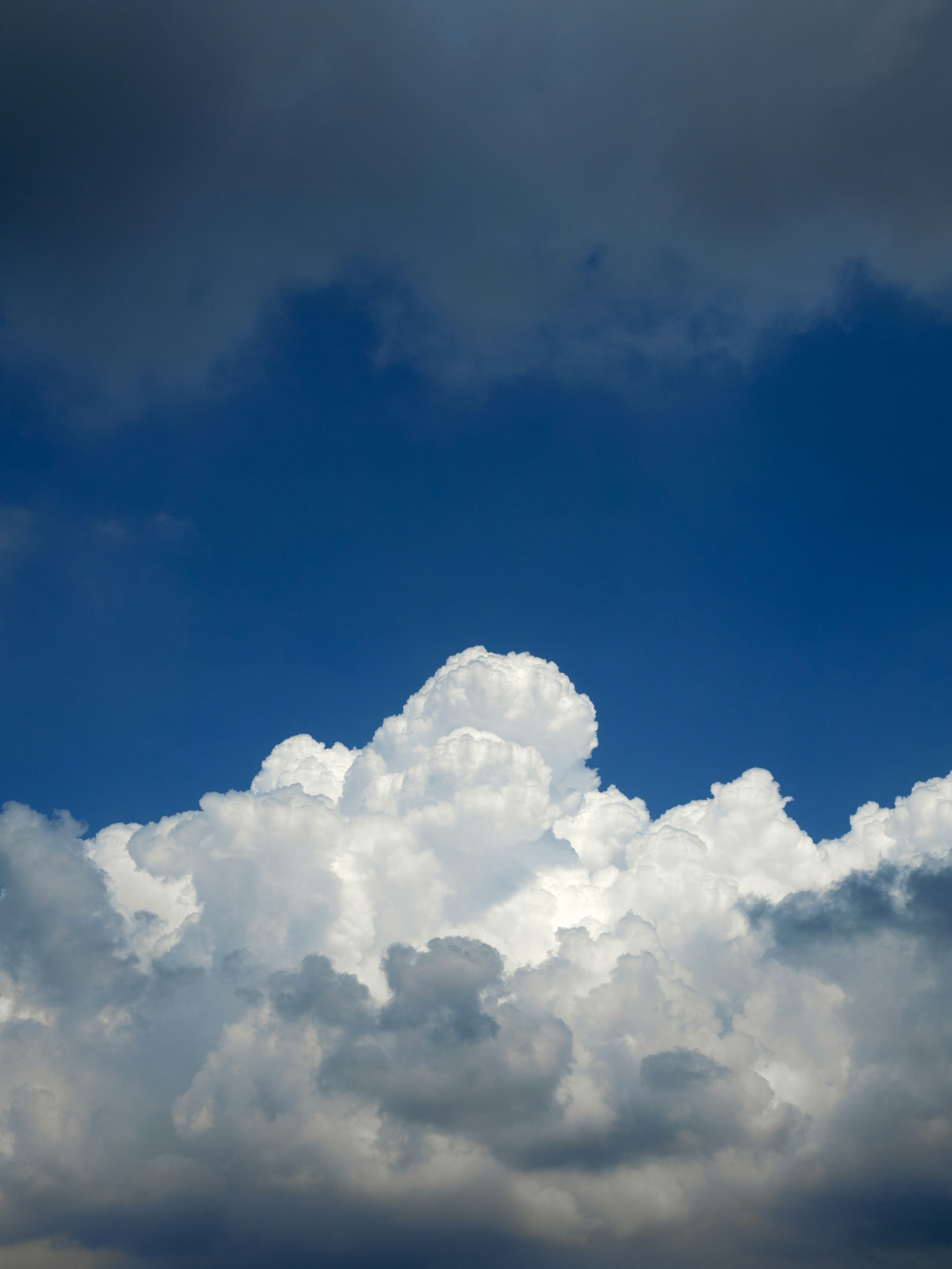 Lush white cumulus clouds rise against a deep blue sky, forming a bold cloudscape with dramatic contrast and soft edges.