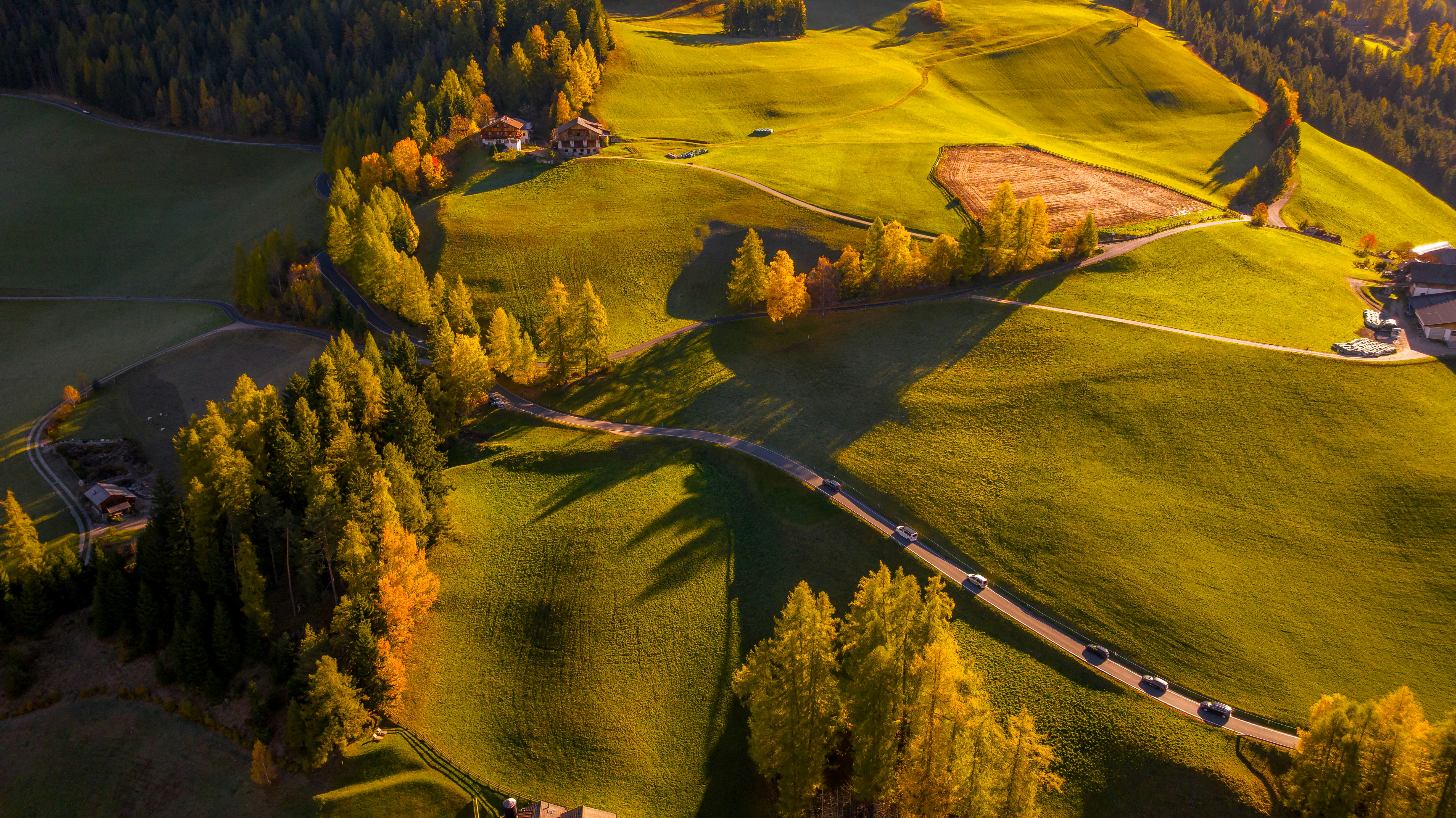 Golden Hour Roll: A Carved Patchwork of Hills and Pines